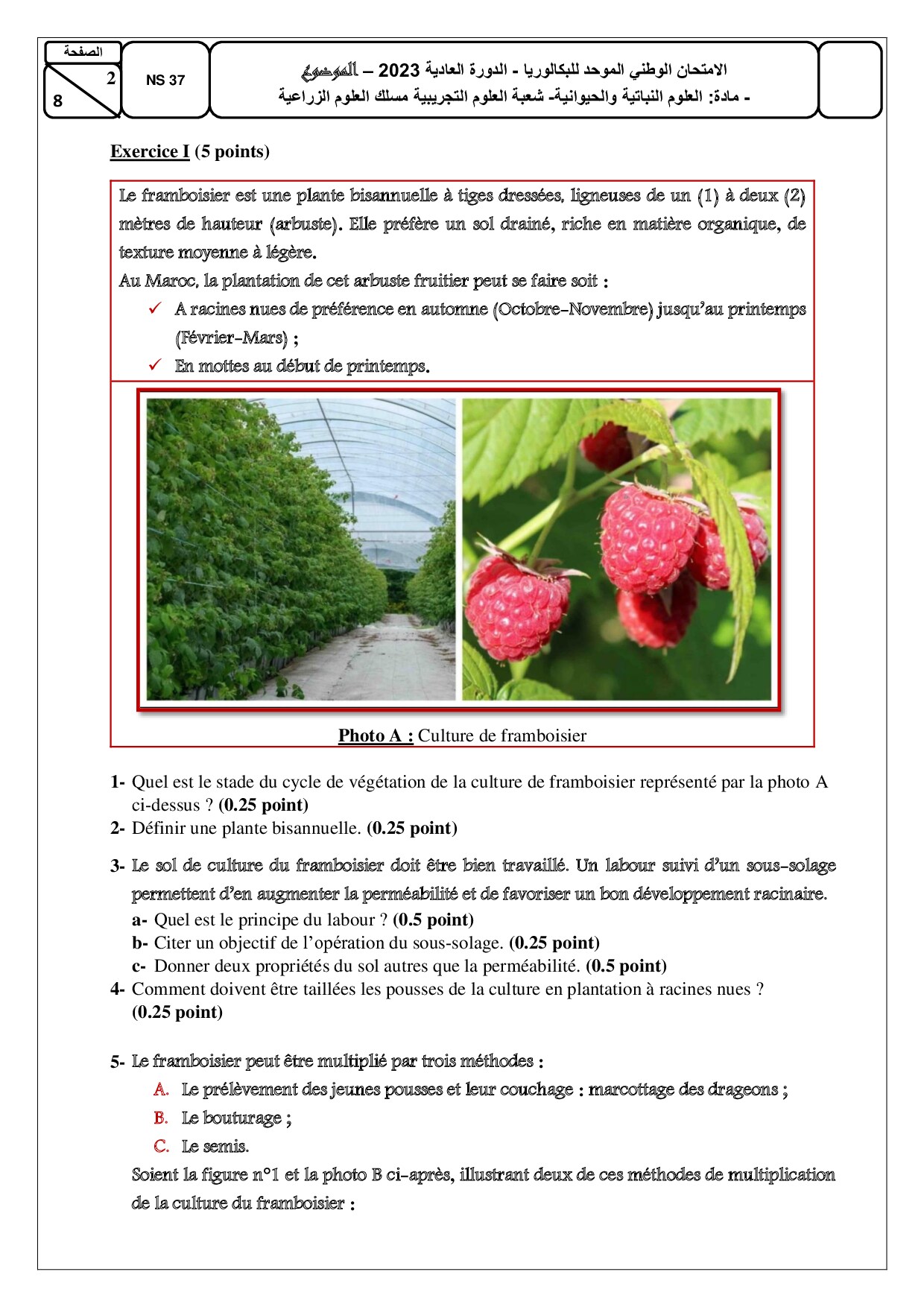 Examen Sciences Végétales et Animales 2023 Session Normale - Sujet - AlloSchool