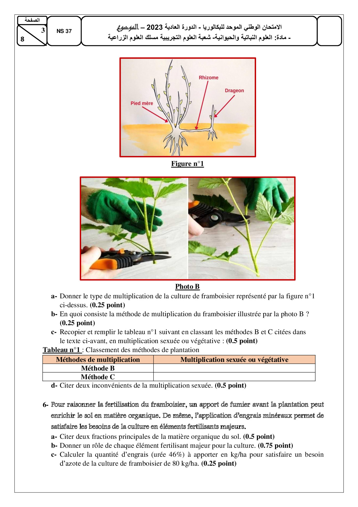 Examen Sciences Végétales et Animales 2023 Session Normale - Sujet - AlloSchool