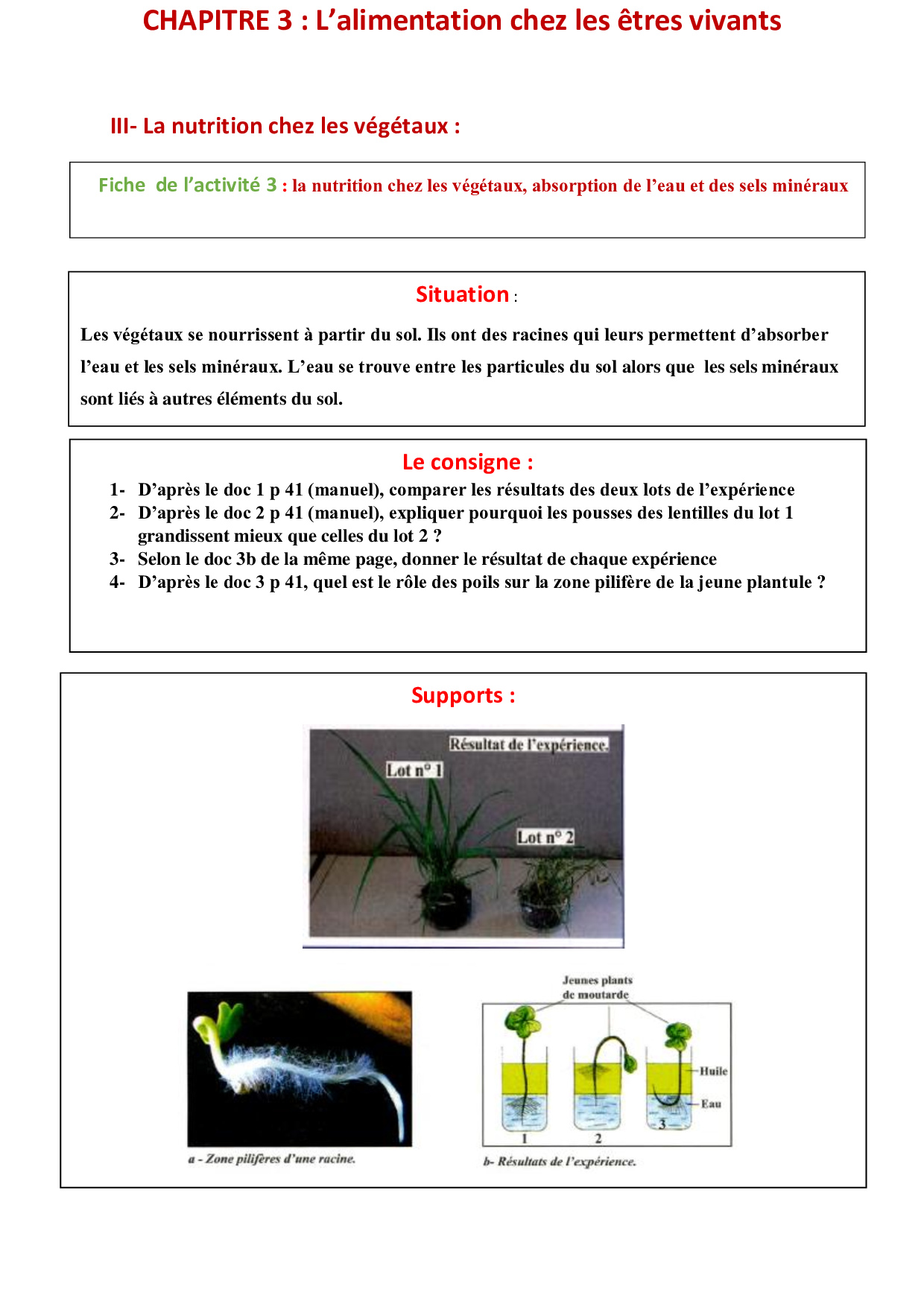 L'alimentation chez les êtres vivants - Fiche pédagogique - AlloSchool