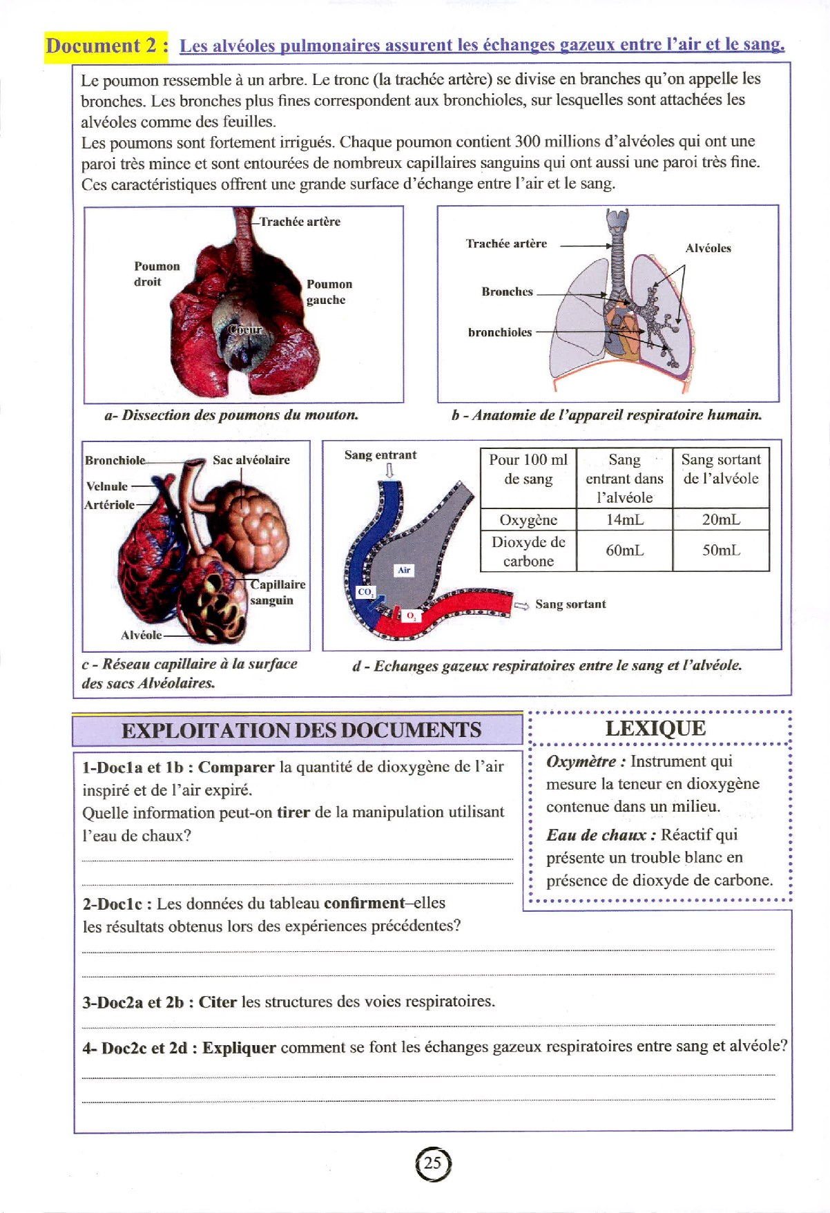 La respiration et milieux de vie des êtres vivants - Cours 1 - AlloSchool