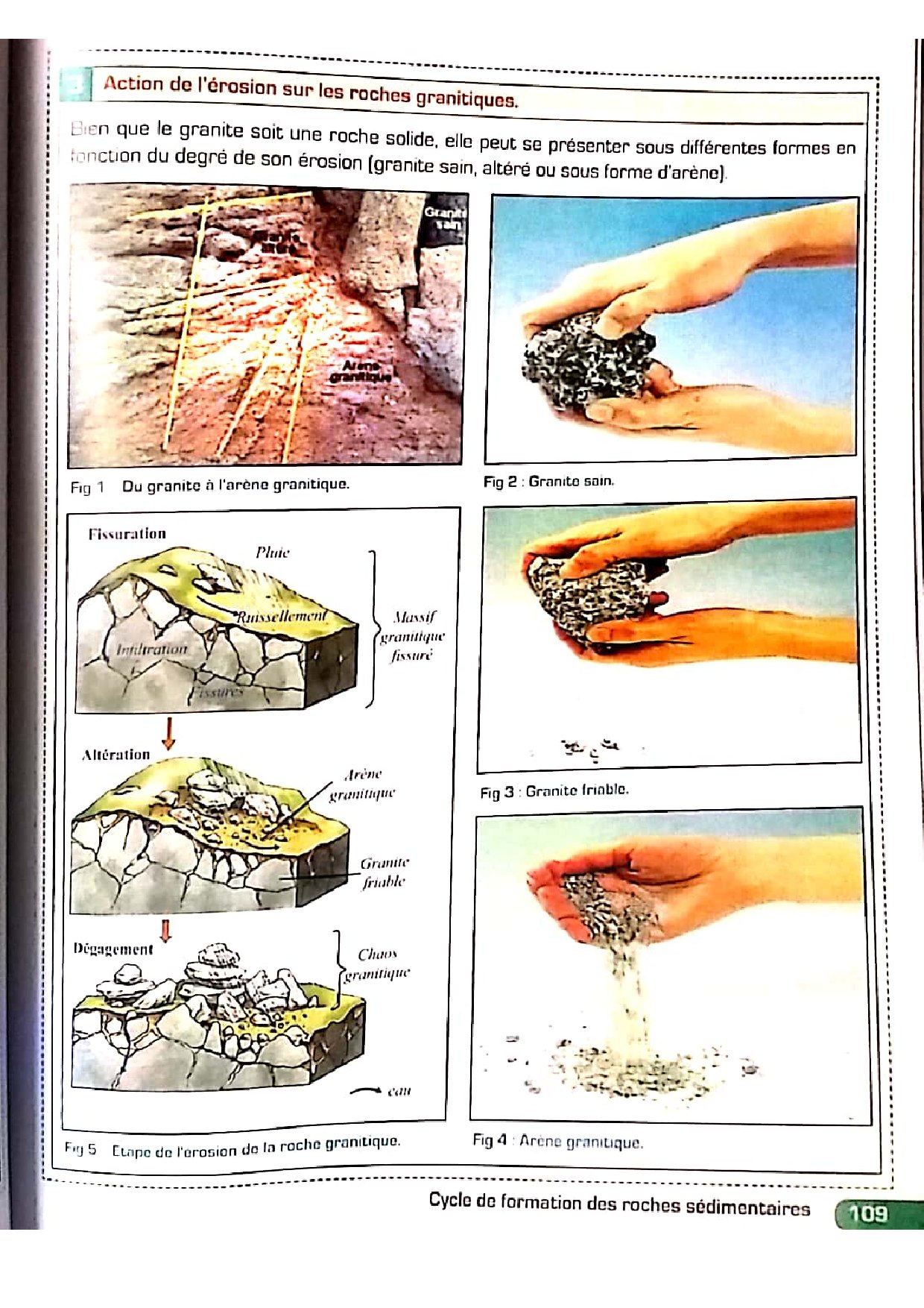La formation des roches sédimentaires - Cours (Manuel 3) - AlloSchool