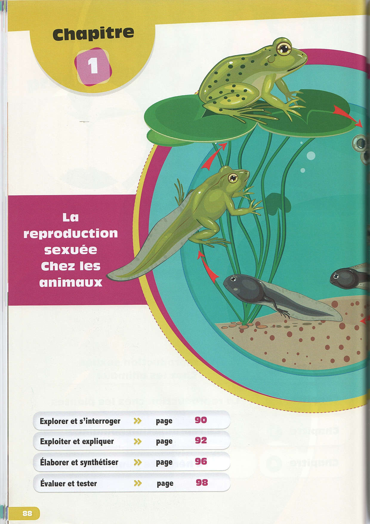 La reproduction chez les animaux - Cours (Manuel) - AlloSchool
