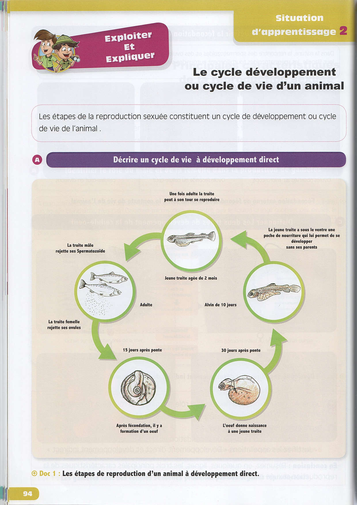 La reproduction chez les animaux - Cours (Manuel) - AlloSchool