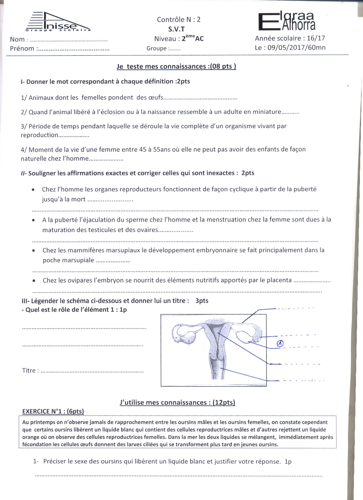 Devoir 2 Modèle 1 - SVT 2AC Semestre 2 - AlloSchool