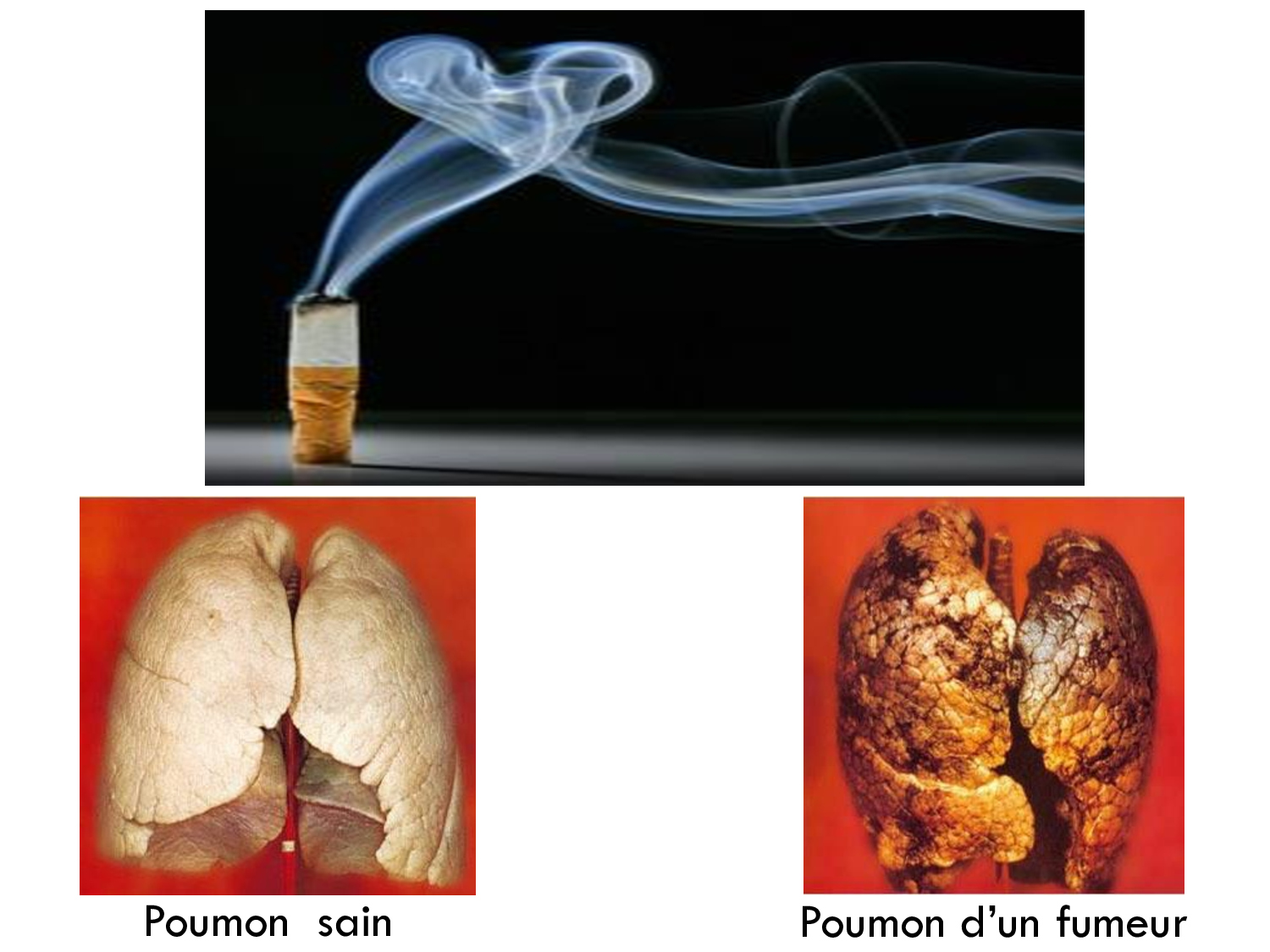 Les combustions - Cours PPT 1 - AlloSchool