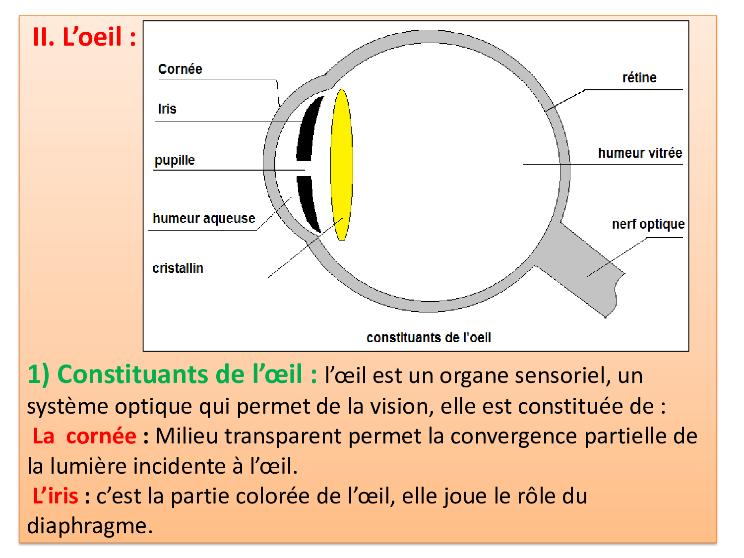 Étude de quelques instruments optiques - Cours PPT 2 - AlloSchool