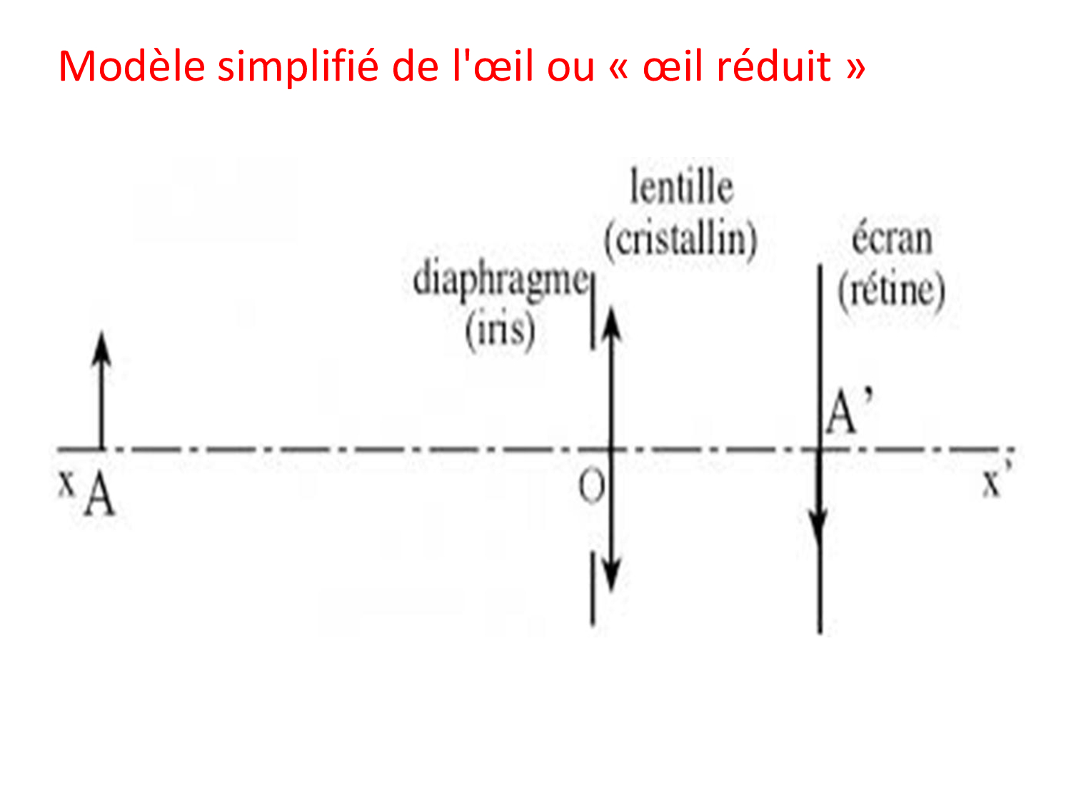 Étude de quelques instruments optiques - Cours PPT 3 - AlloSchool