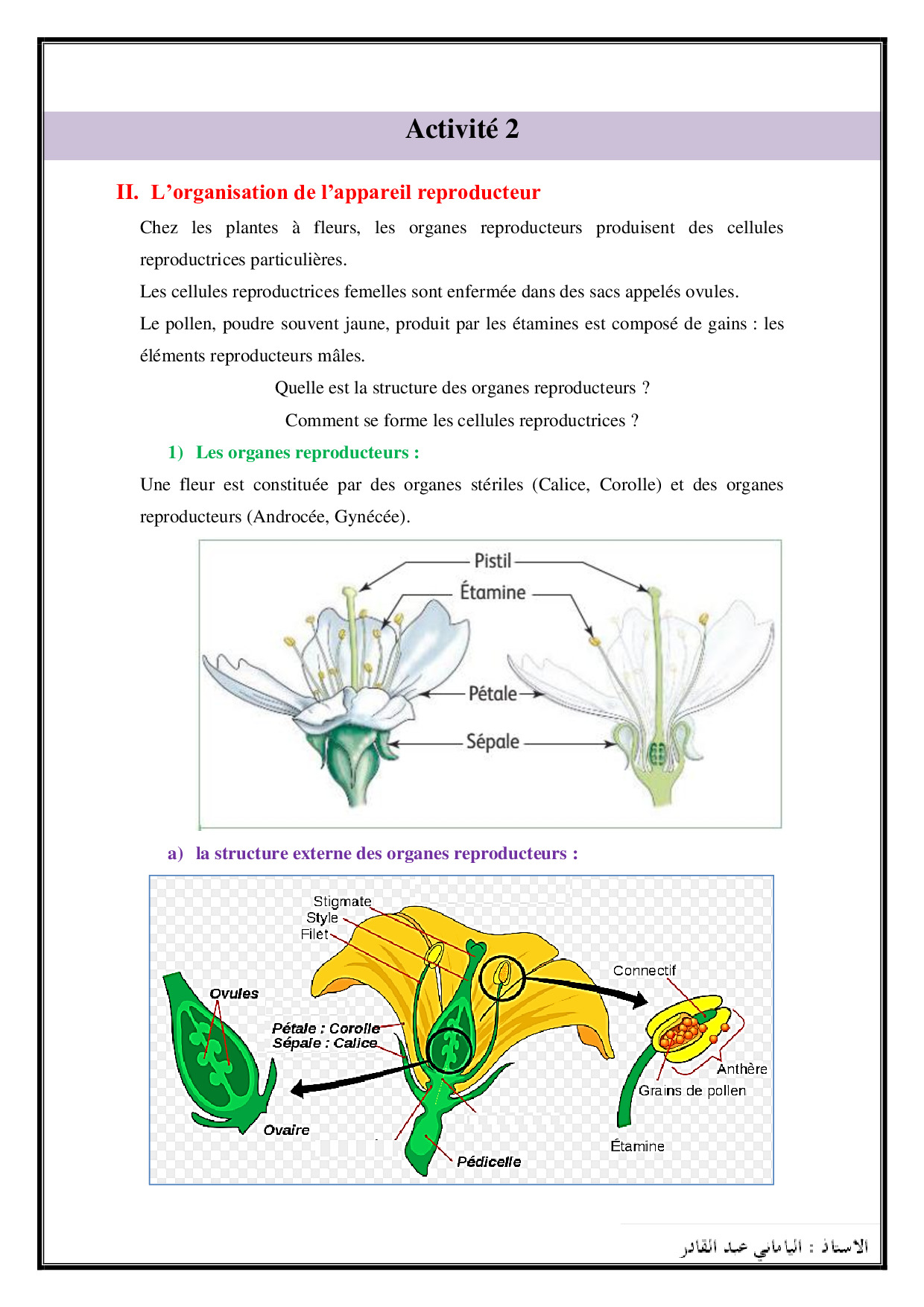 La reproduction sexuée chez les angiospermes - Activités 1 - AlloSchool
