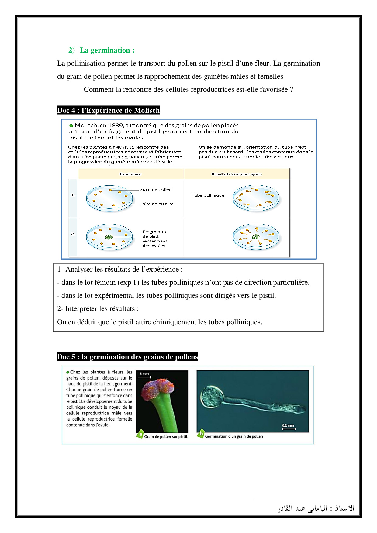 La reproduction sexuée chez les angiospermes - Activités 1 - AlloSchool