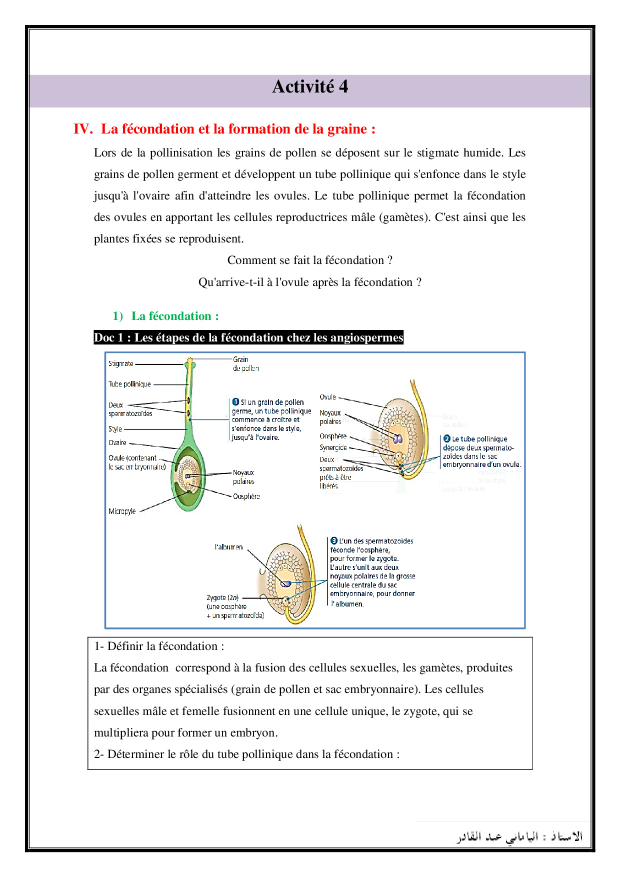 La reproduction sexuée chez les angiospermes - Activités 1 - AlloSchool