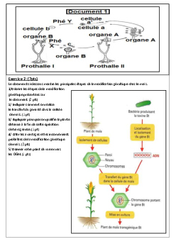 Devoir 2 Modèle 3 - SVT TC Semestre 2 - AlloSchool