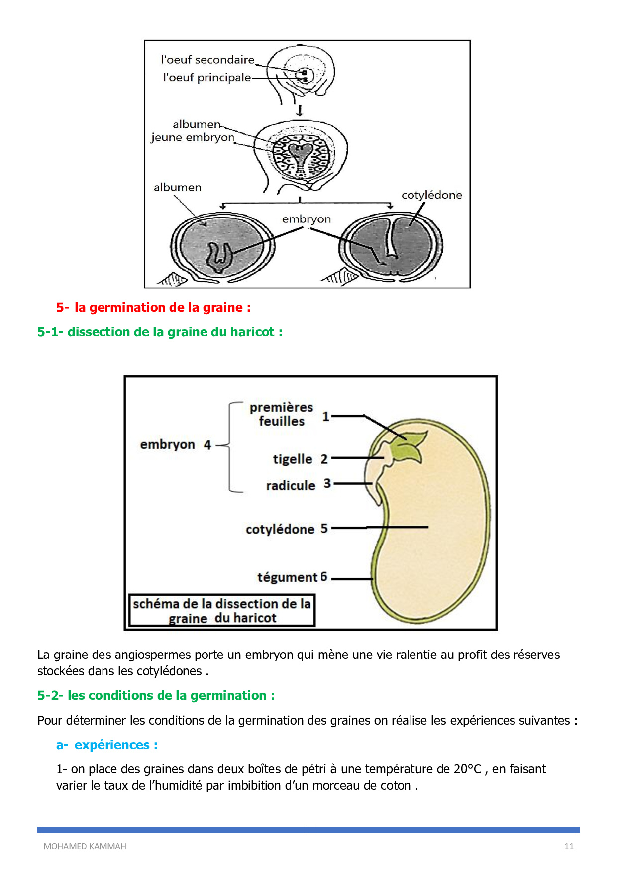 La reproduction sexuée chez les plantes à fleurs - Cours 2 - AlloSchool