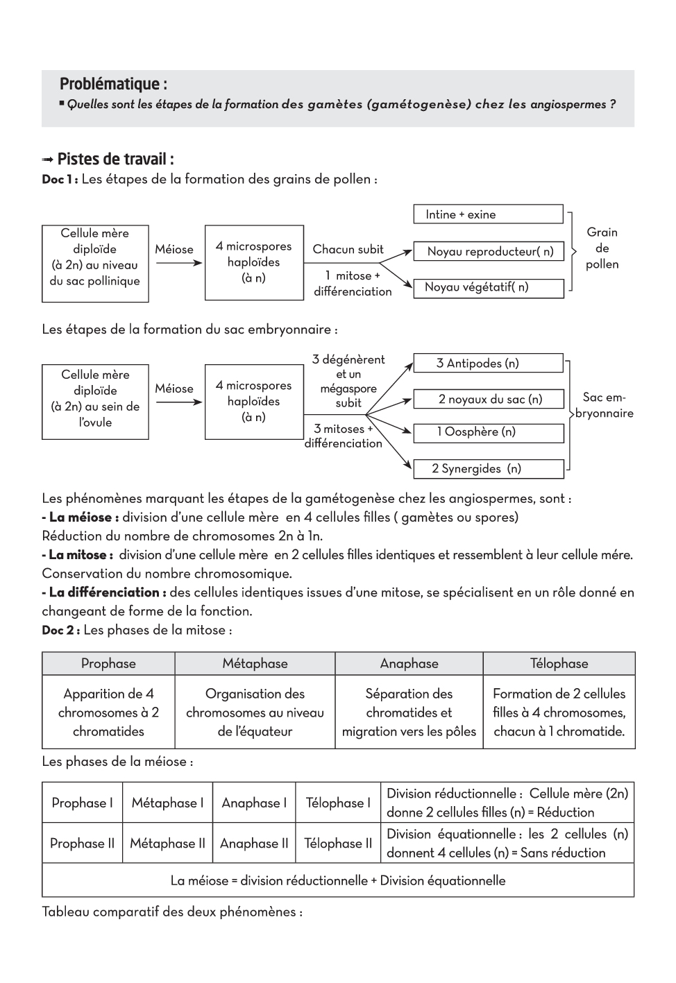 La reproduction sexuée chez les angiospermes - Cours 1 - AlloSchool