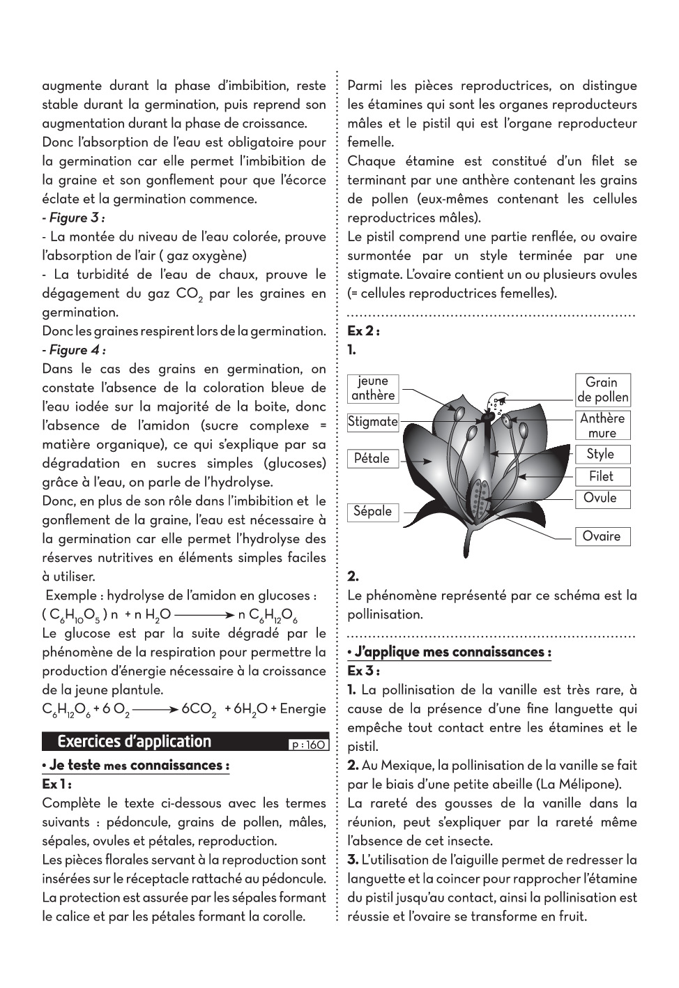 La reproduction sexuée chez les angiospermes - Cours 1 - AlloSchool