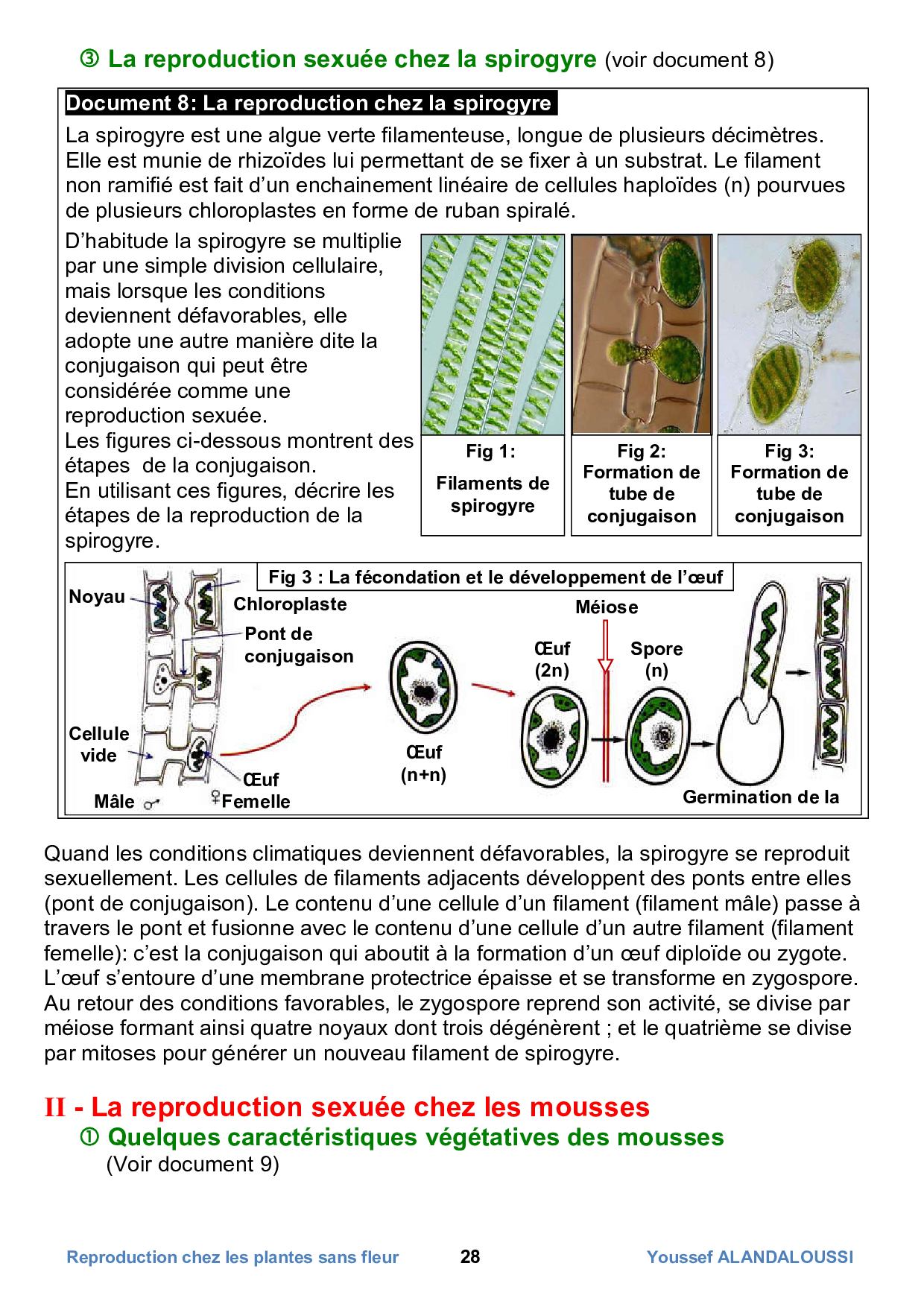 La reproduction sexuée chez les plantes sans fleurs - Cours 1 - AlloSchool