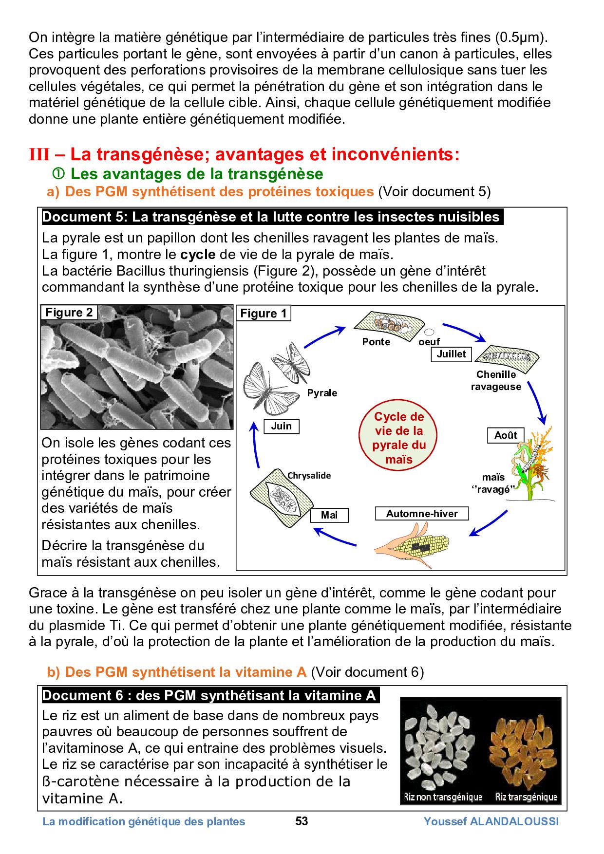 La modification génétique des plantes - Cours 1 - AlloSchool