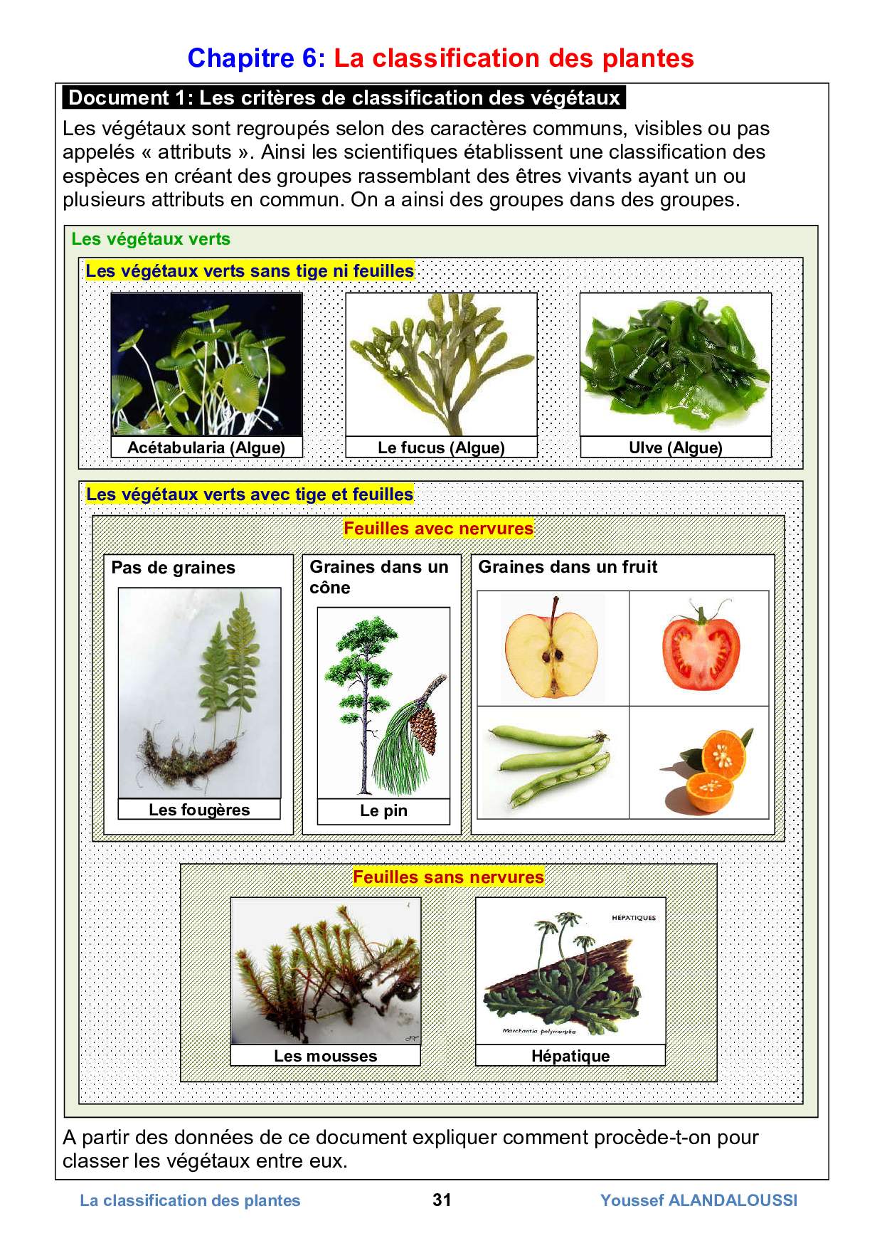 La classification des plantes - Documents 1 - AlloSchool