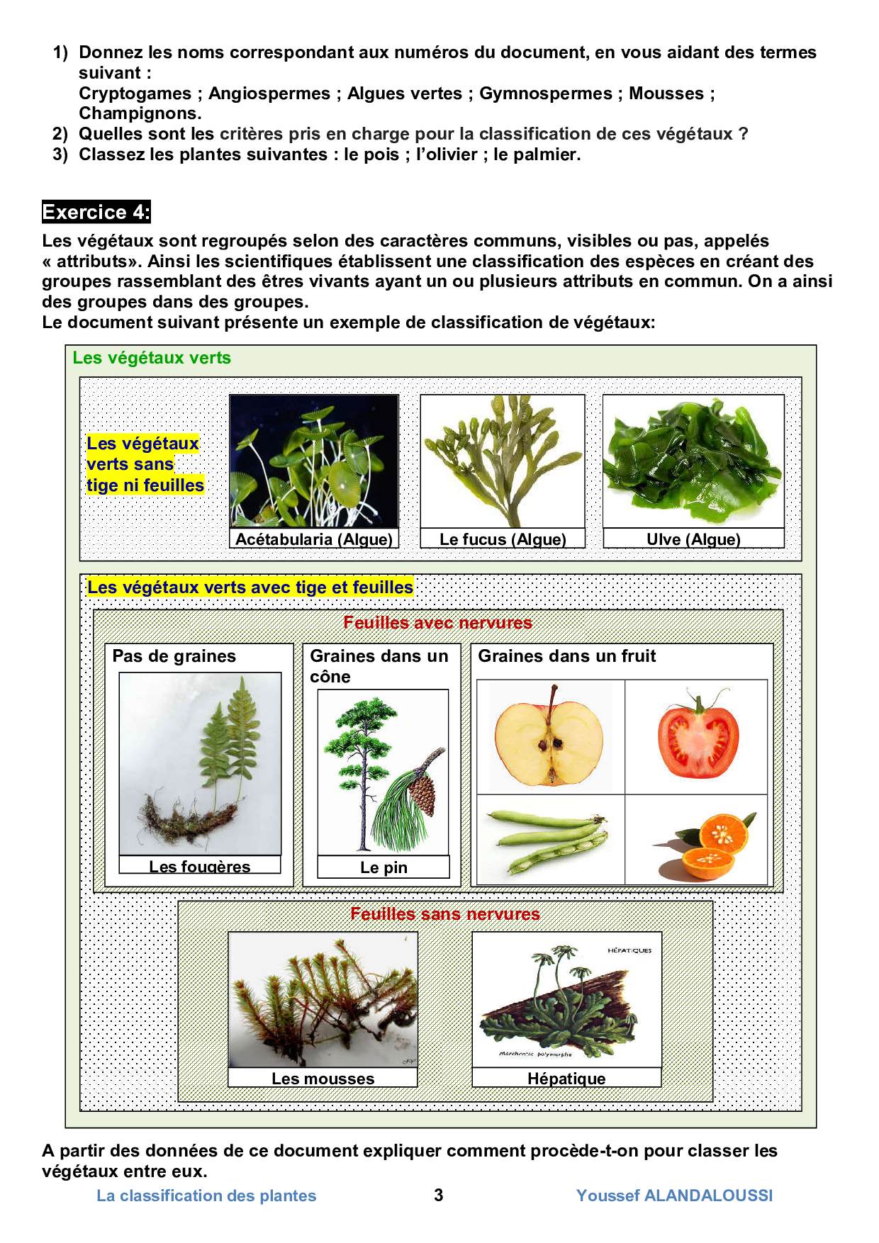 La classification des plantes - Série d'exercices 1 - AlloSchool