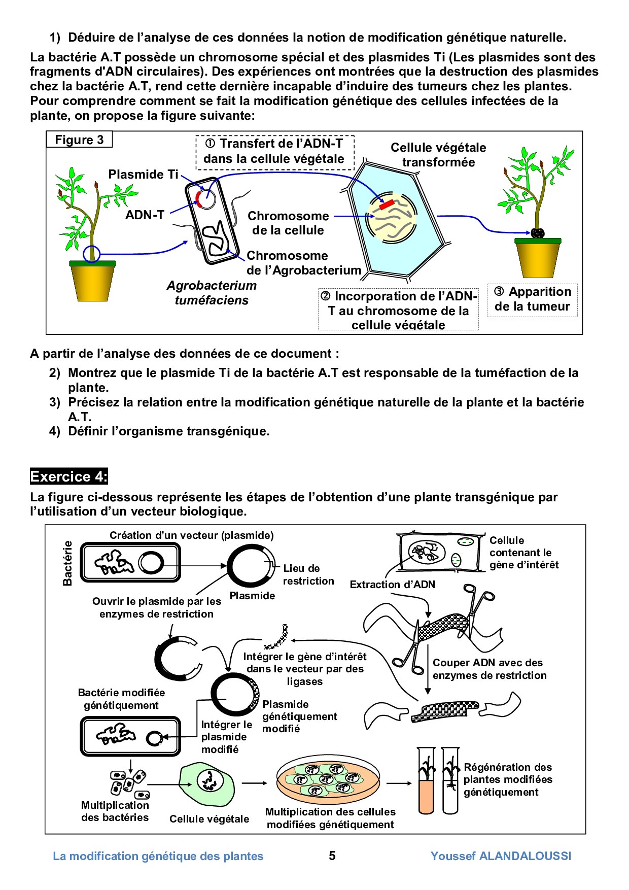 La modification génétique des plantes - Série d'exercices 1 - AlloSchool