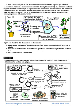 La modification génétique des plantes - Série d'exercices 1 - AlloSchool