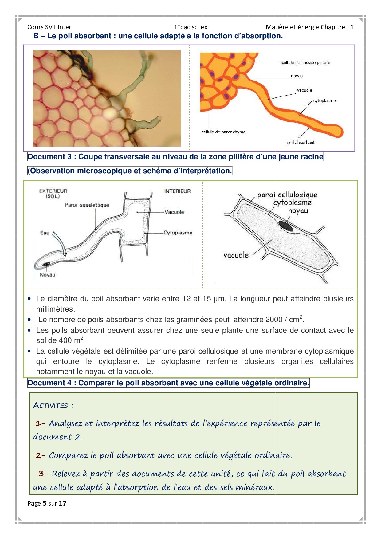 Mécanismes d’absorption de l’eau et des sels minéraux chez les plantes ...