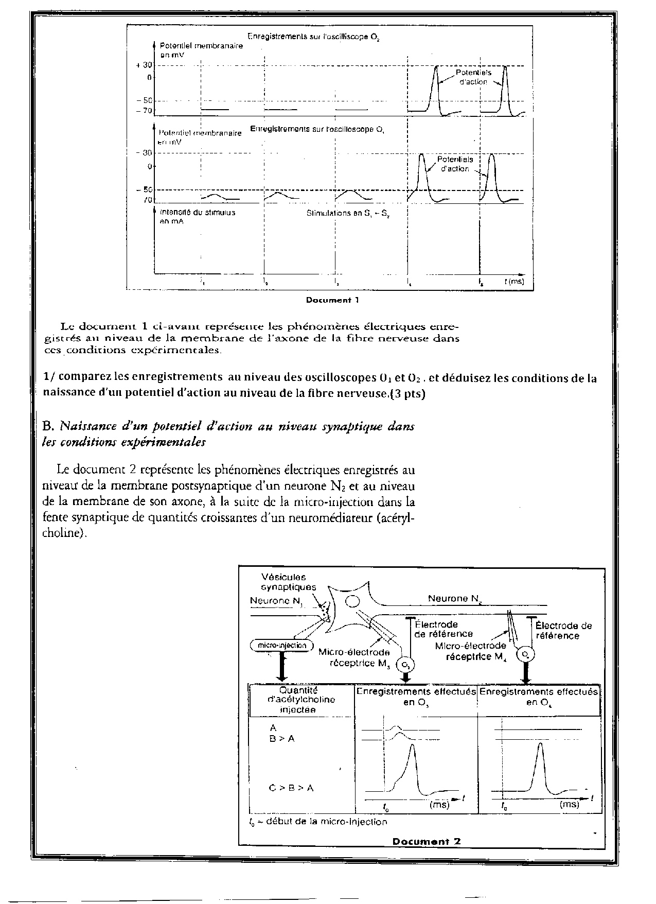 Devoir 2 Modèle 1 - SVT 1 Bac Sc.Ex Semestre 1 - AlloSchool