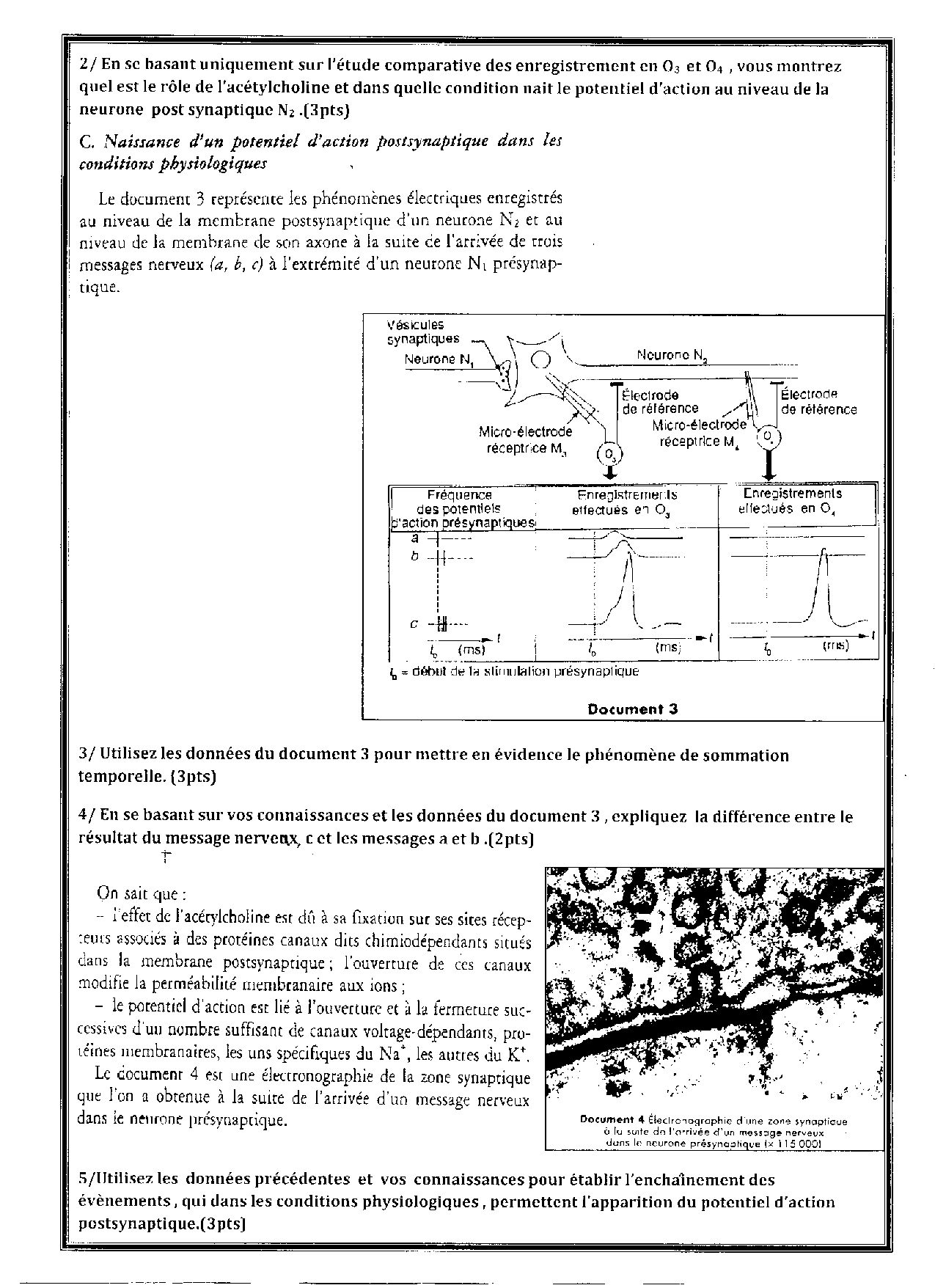 Devoir 2 Modèle 1 - SVT 1 Bac Sc.Ex Semestre 1 - AlloSchool