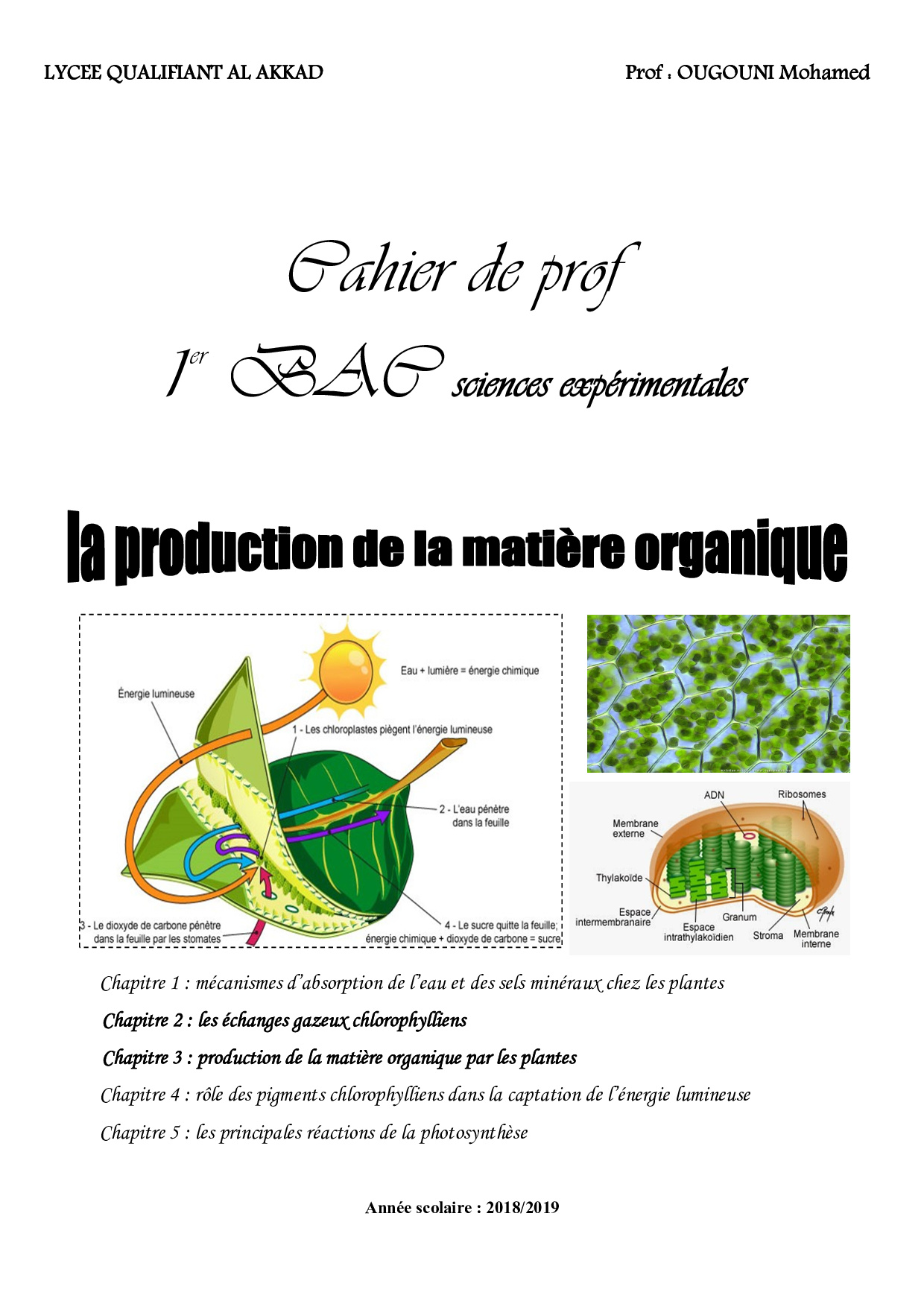 Les échanges gazeux chlorophylliens et la production de la matière ...