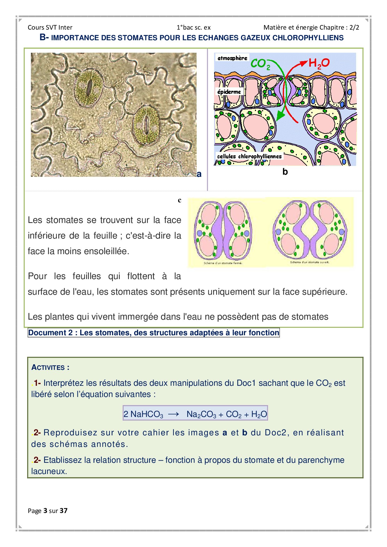 La captation de l’énergie lumineuse et les réactions de la ...