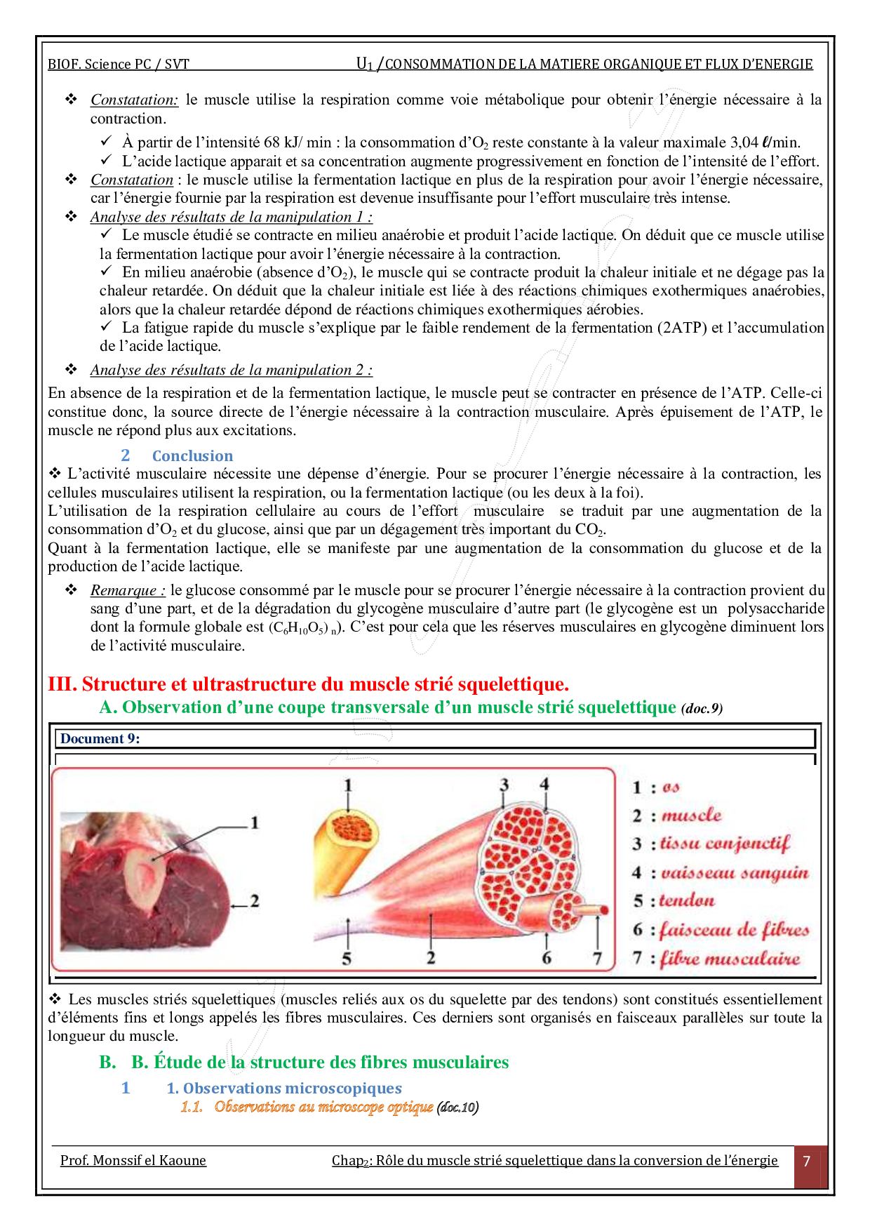 Rôle du muscle strié squelettique dans la conversion de l’énergie - Cours 1 - AlloSchool