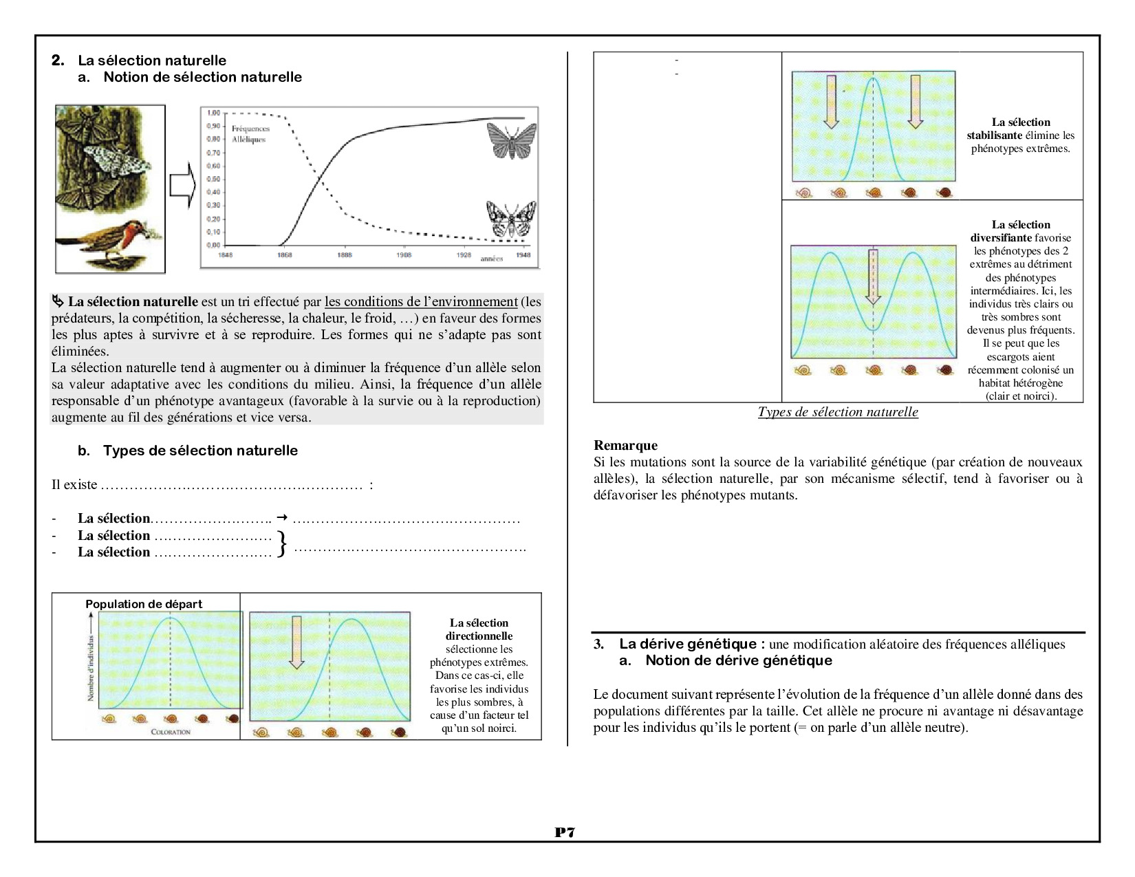 Génétique des populations - Exercices - AlloSchool