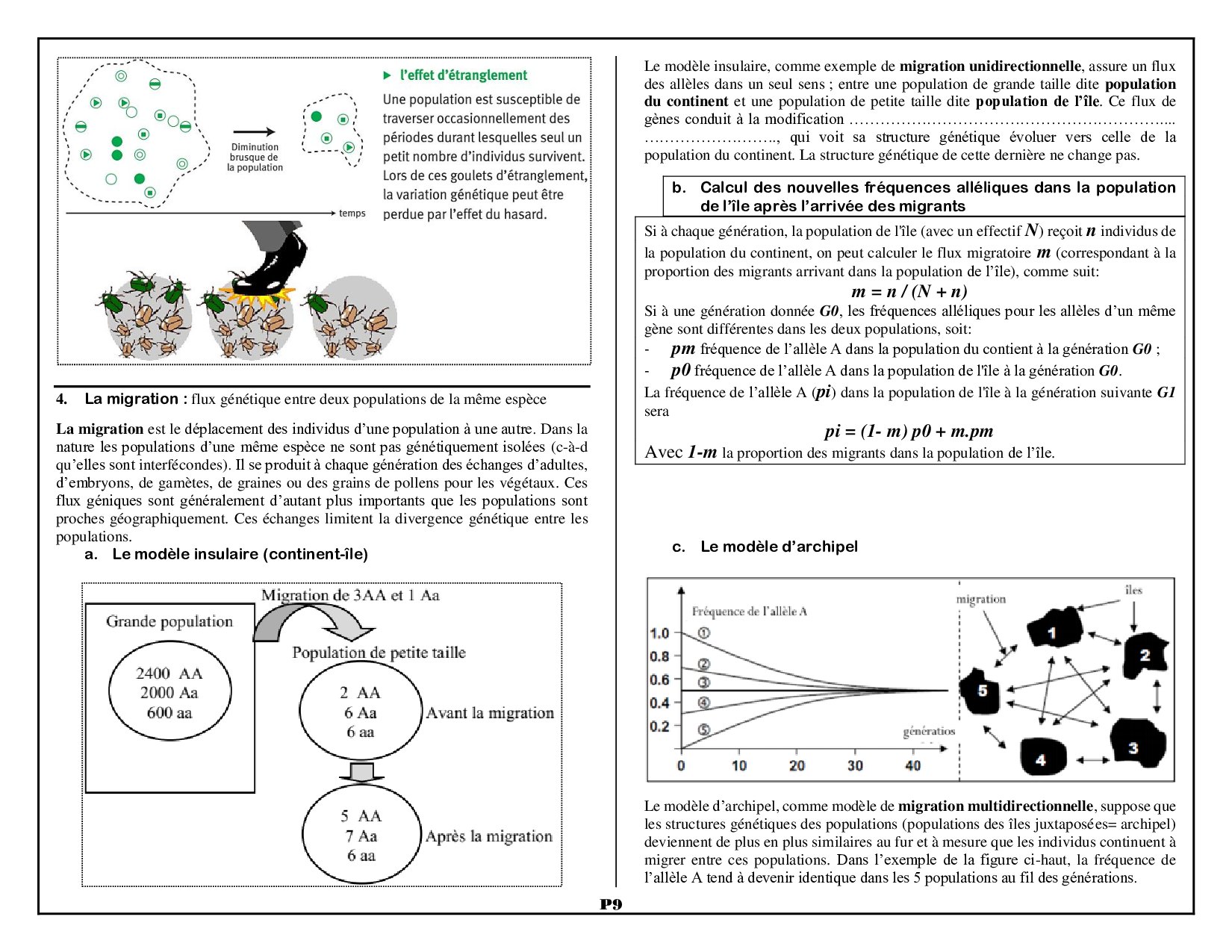 Génétique des populations - Exercices - AlloSchool