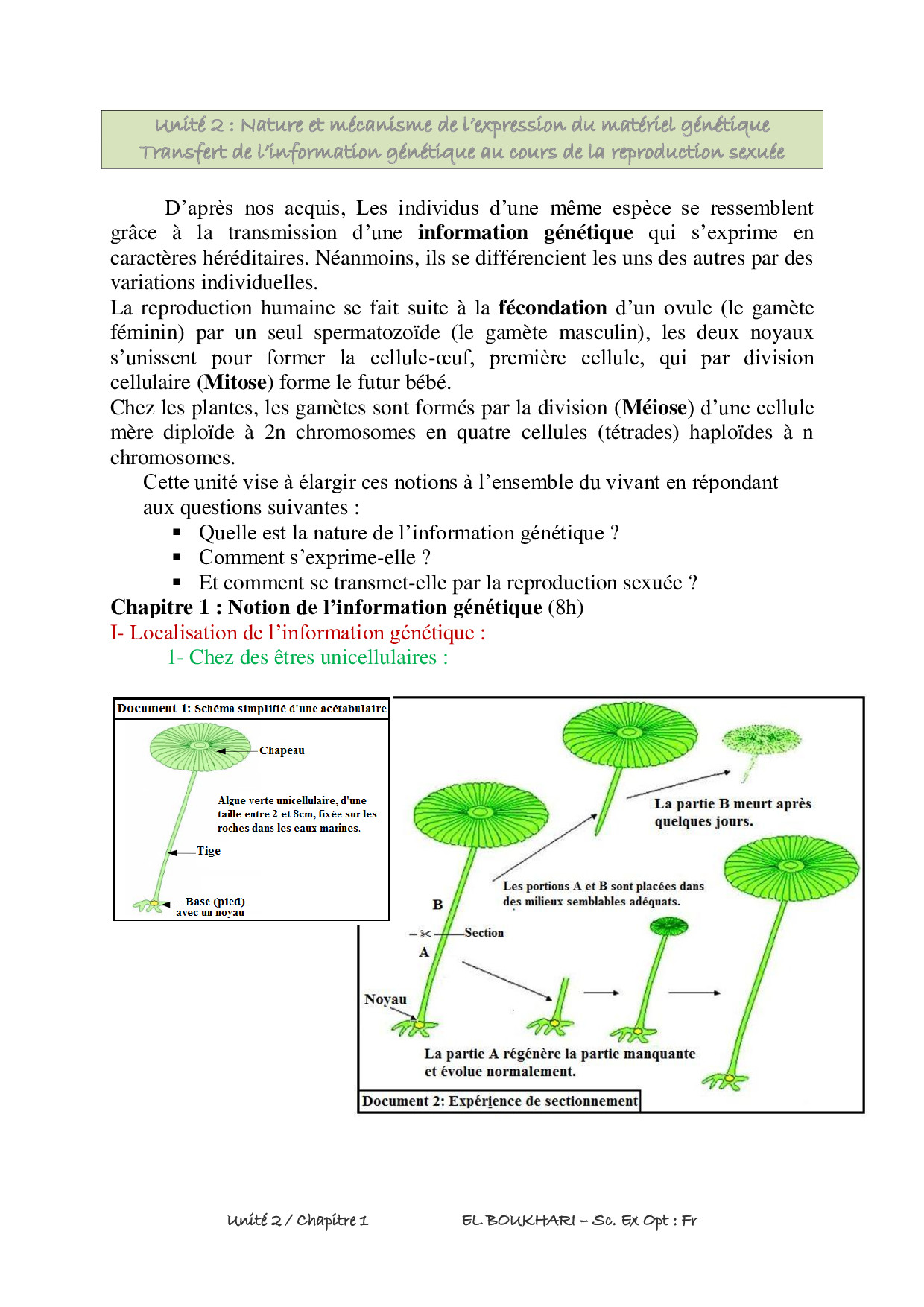 Notion de l’information génétique - Cours 3 - AlloSchool