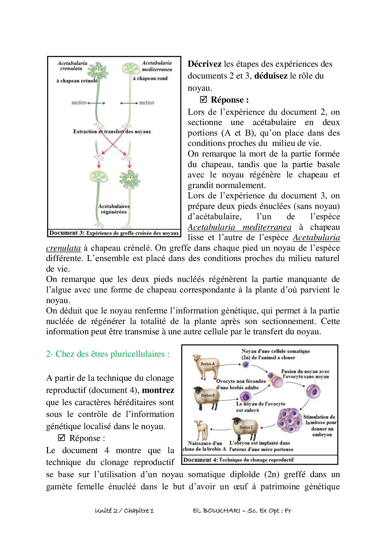 Notion de l’information génétique - Cours 3 - AlloSchool