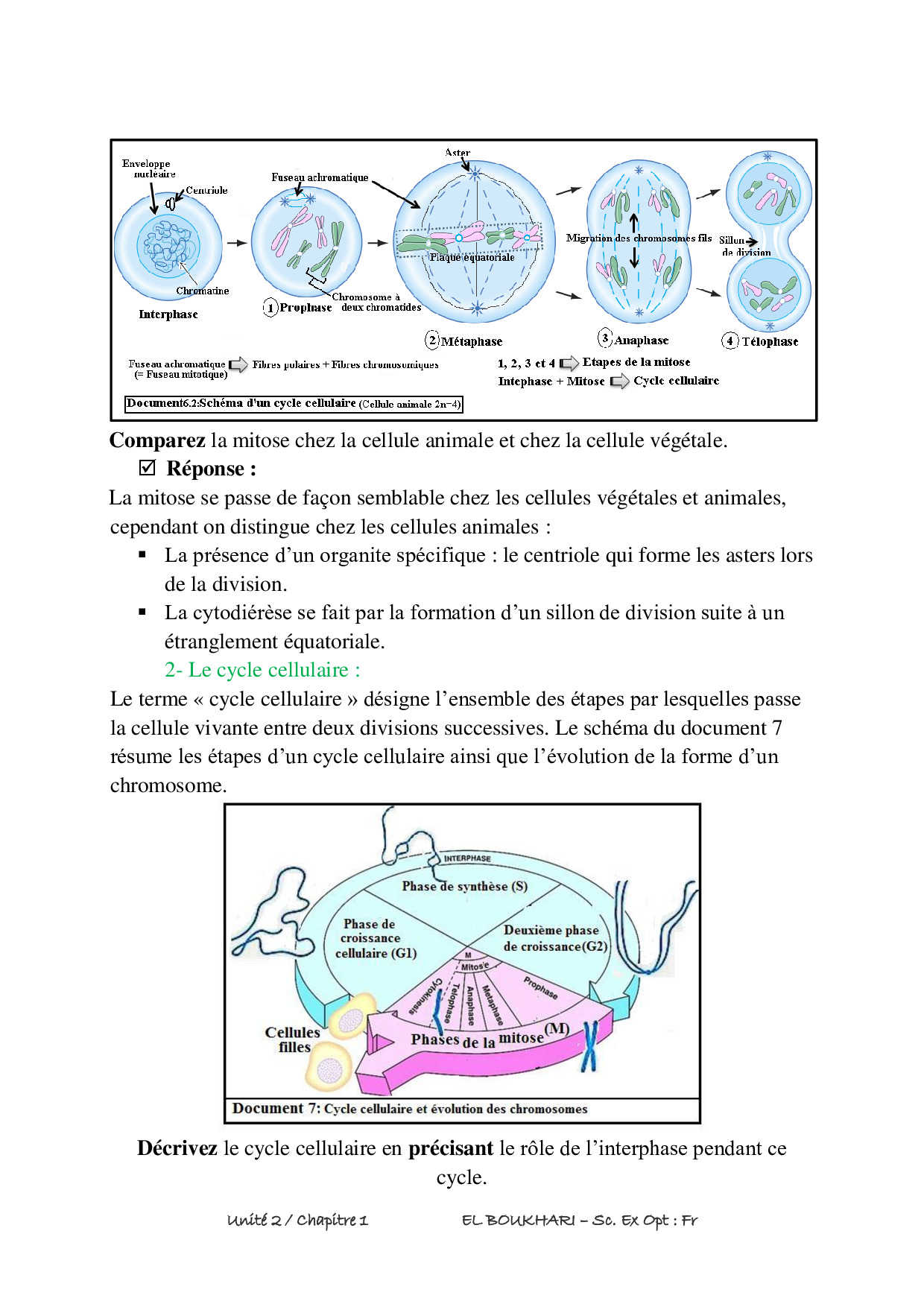 Notion de l’information génétique - Cours 3 - AlloSchool