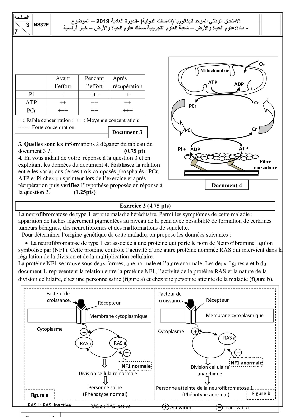 Examen National SVT 2ème BAC SVT 2019 Normale - Sujet - AlloSchool
