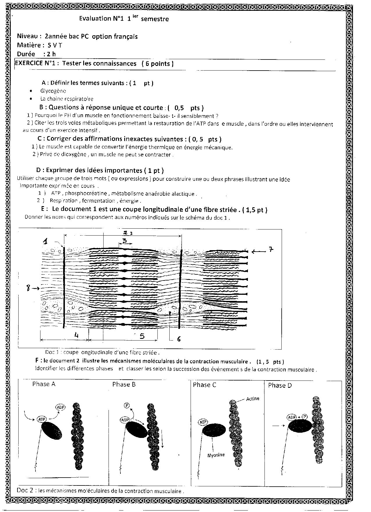 Devoir 1 Modèle 1 - SVT 2 Bac SPC Semestre 1 - AlloSchool