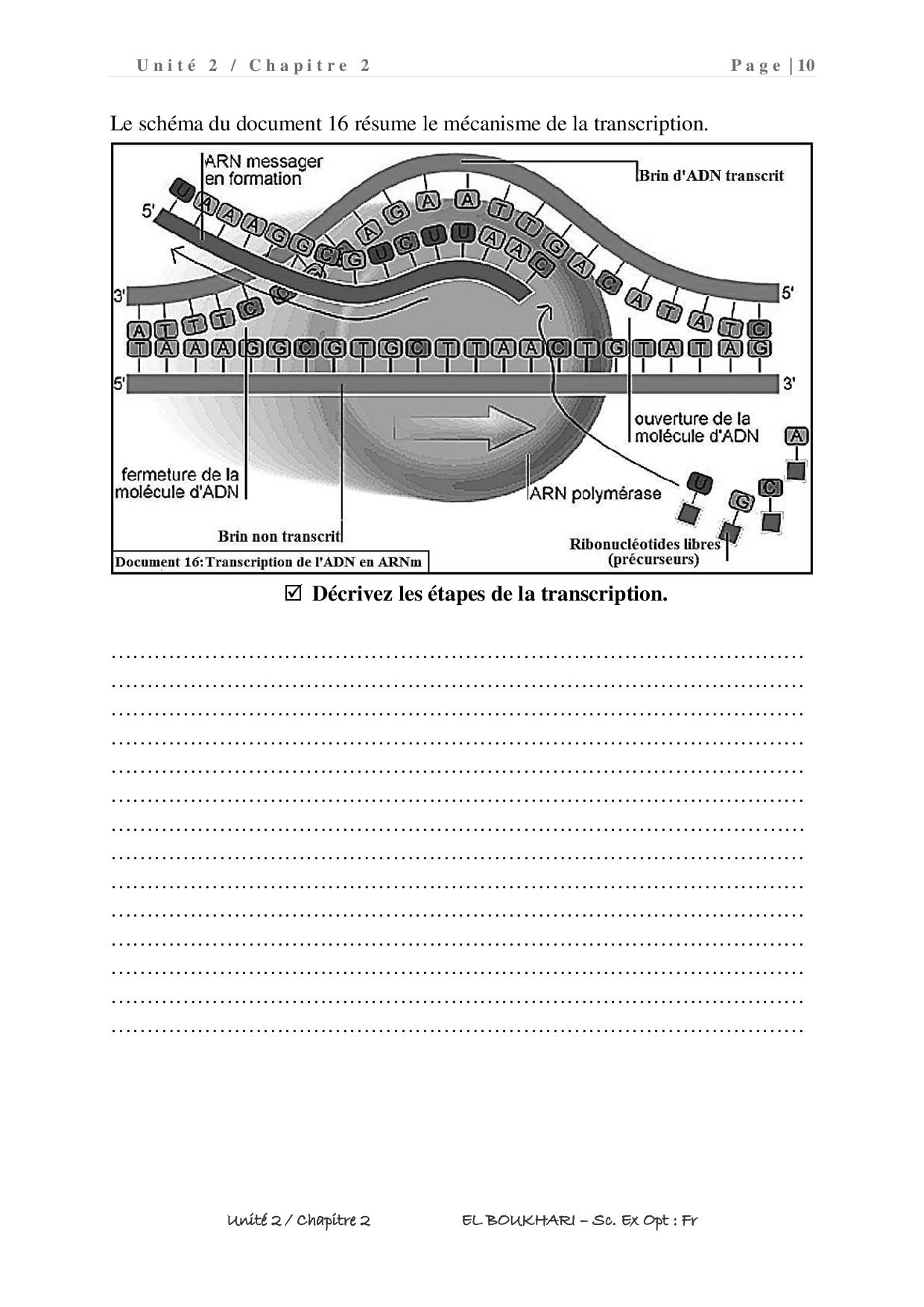 Expression de l’information génétique - Cours 3 - AlloSchool