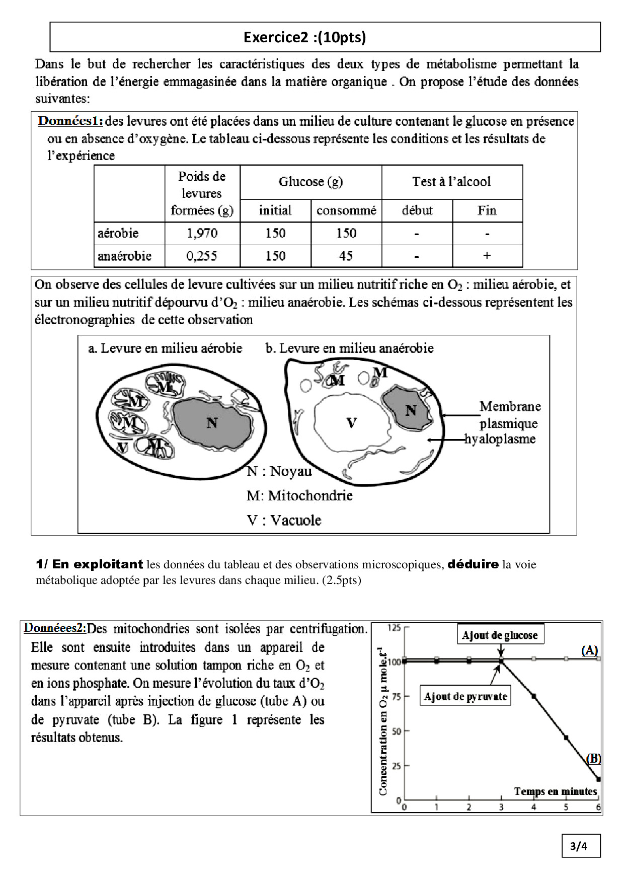 Devoir 1 Modèle 4 - SVT 2 Bac SPC Semestre 1 - AlloSchool