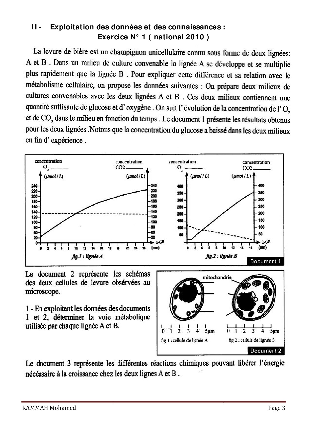 Rôle du muscle strié squelettique dans la conversion de l’énergie - Exercices non corrigés ...