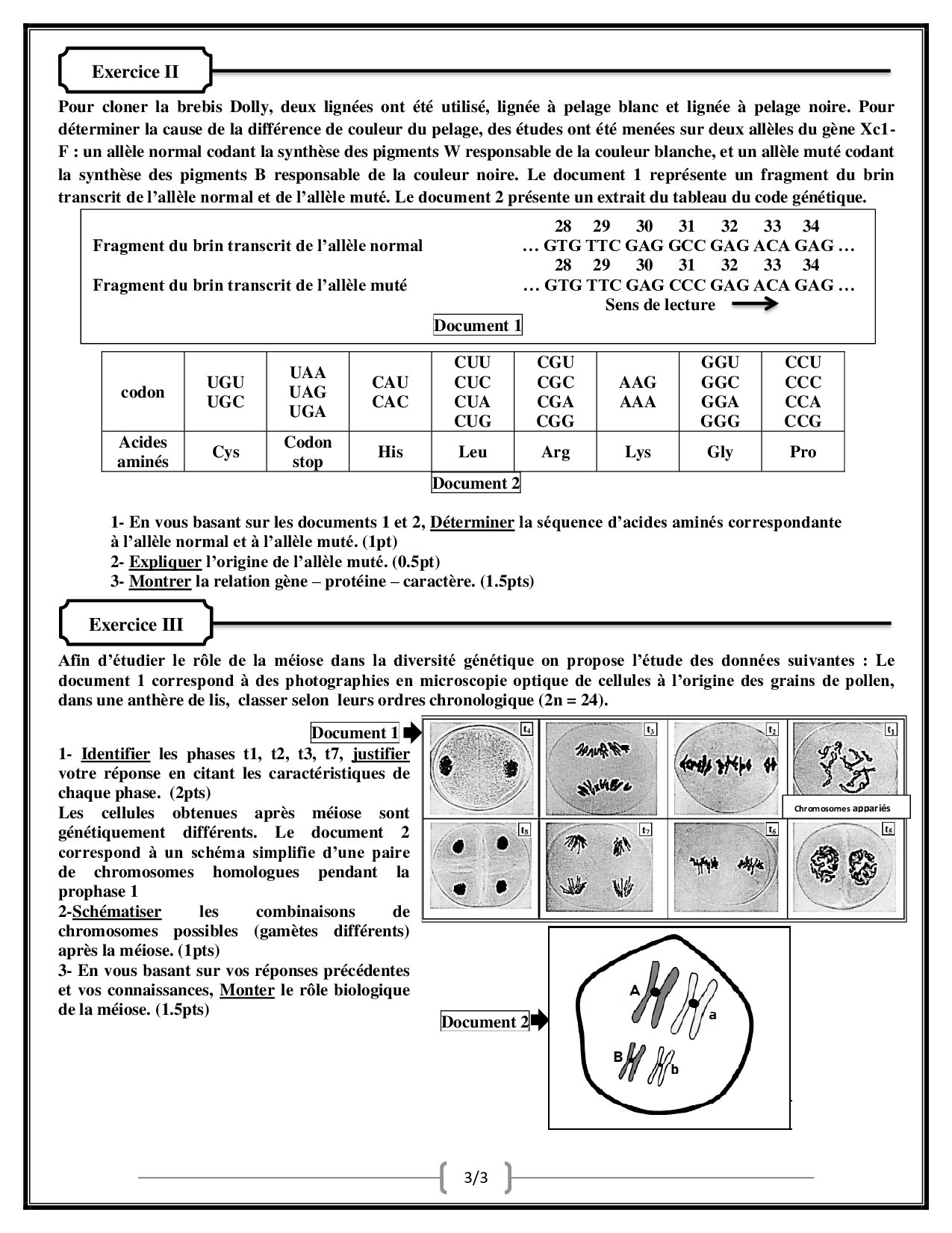 Devoir 2 Modèle 2 - SVT 2 Bac SM-A Semestre 1 - AlloSchool
