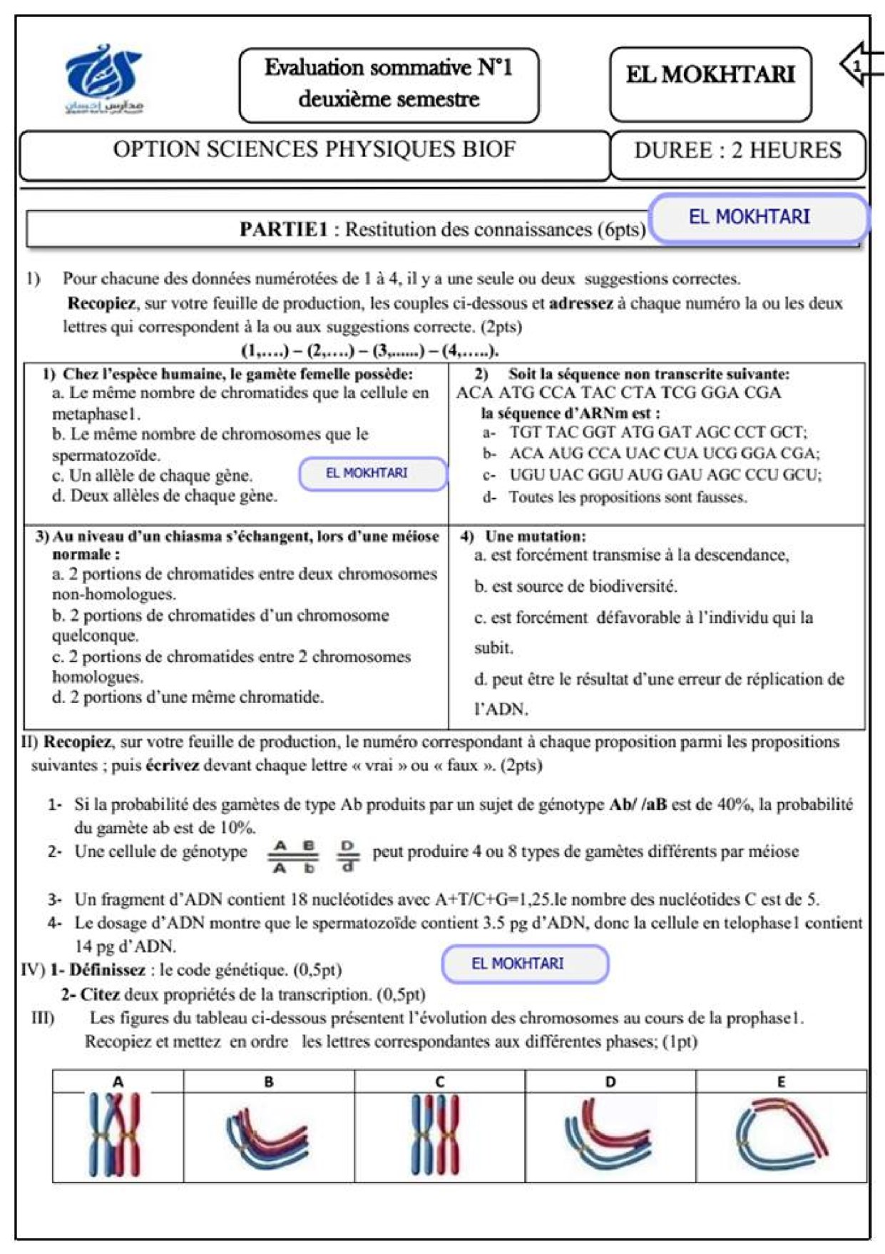 Devoir 1 Modèle 2 - SVT 2 Bac SM-A Semestre 2 - AlloSchool