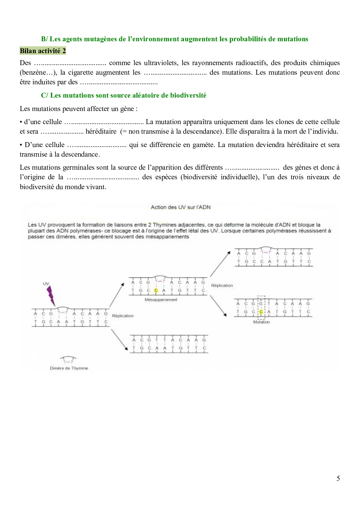 Expression, stabilité et variation du patrimoine génétique - Cours complet - AlloSchool