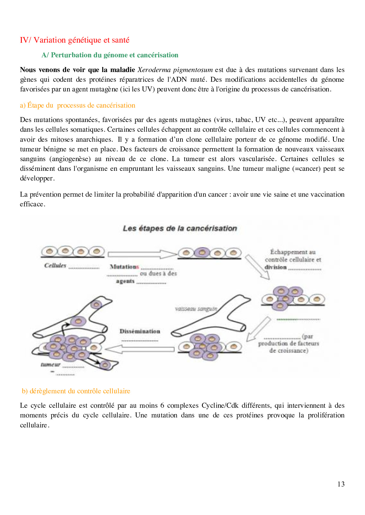 Expression, stabilité et variation du patrimoine génétique - Cours complet - AlloSchool