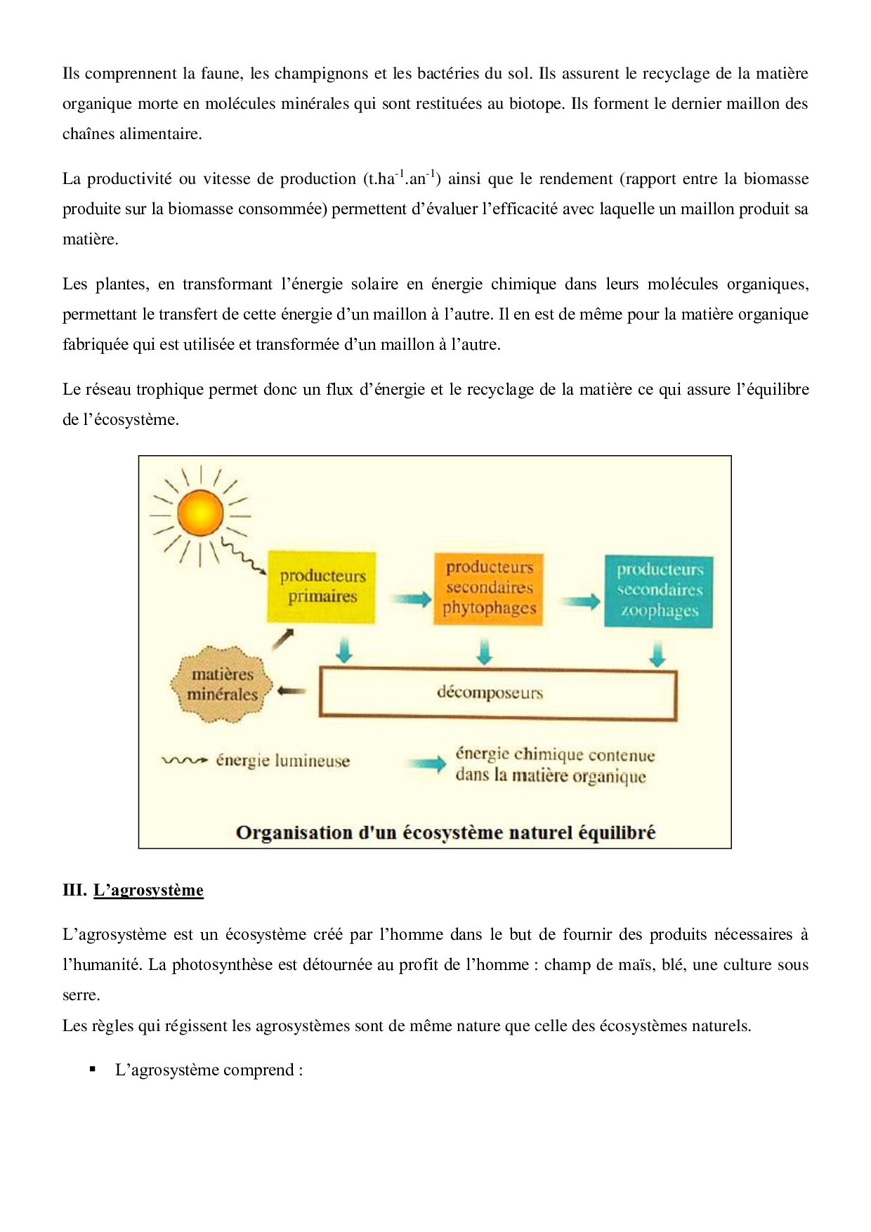 La production végétale (une productivité primaire) - Cours - AlloSchool