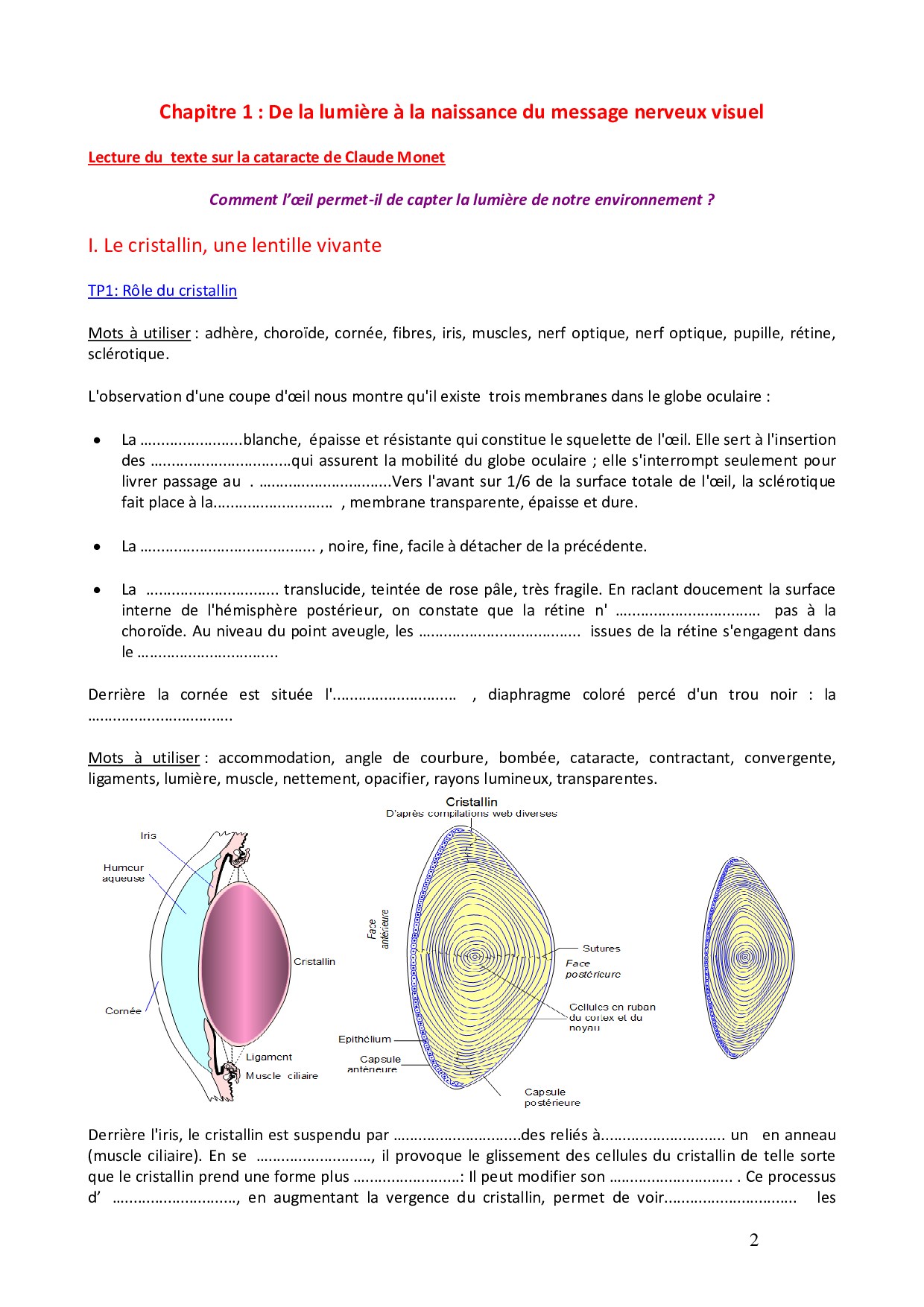De l’œil au cerveau (quelques aspects de la vision) - Cours complet ...