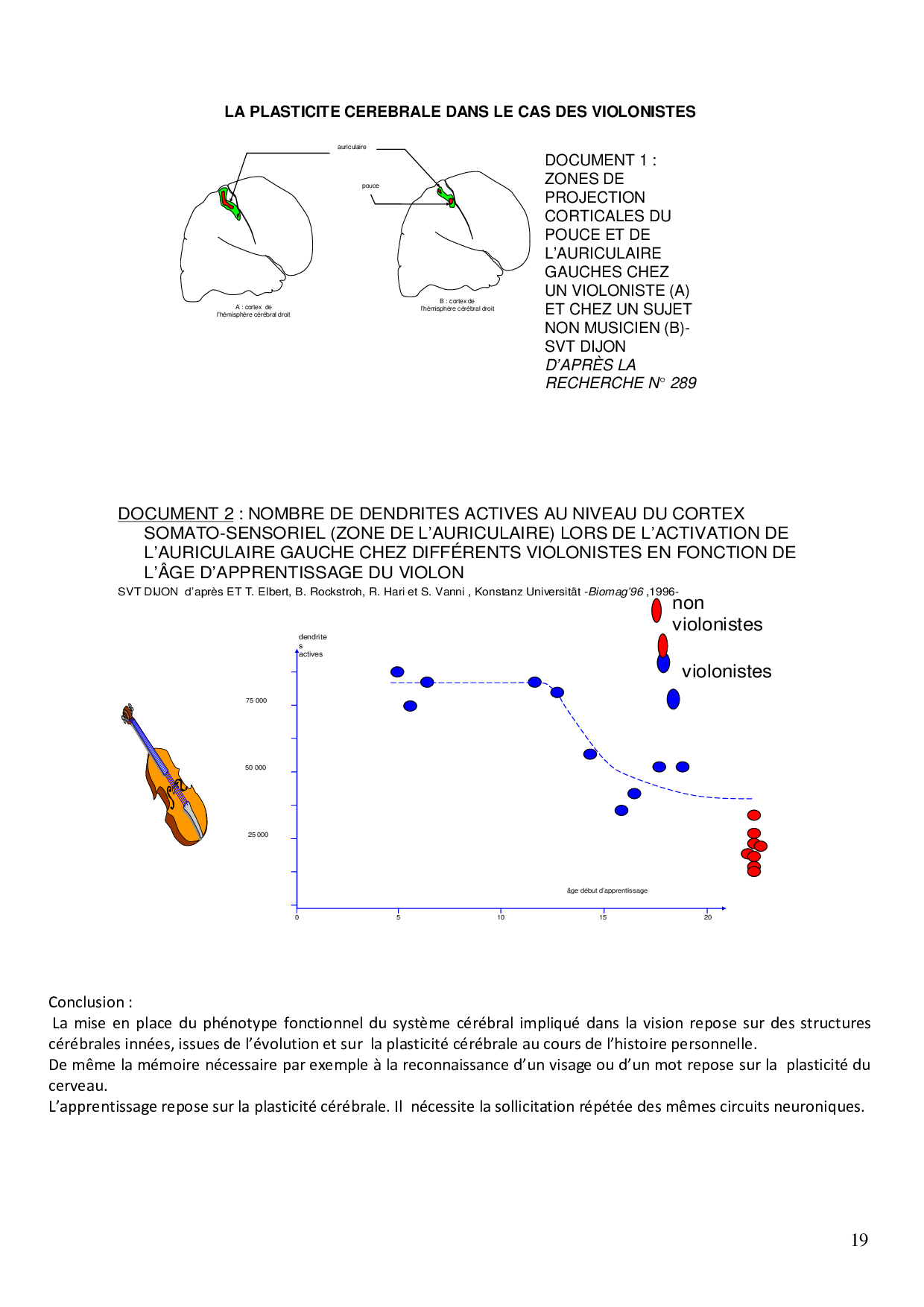 De l’œil au cerveau (quelques aspects de la vision) - Cours complet ...