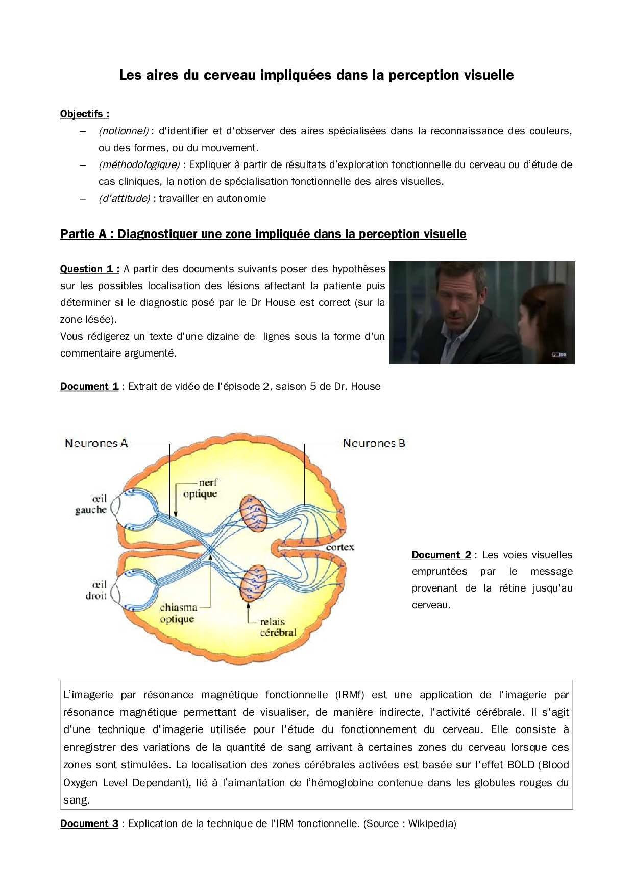 Représentation visuelle - Activité 6 (Les aires du cerveau impliquées ...