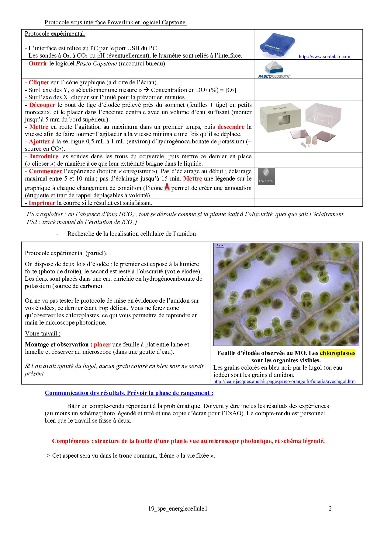Fiche d’activité - La photosynthèse végétale - AlloSchool