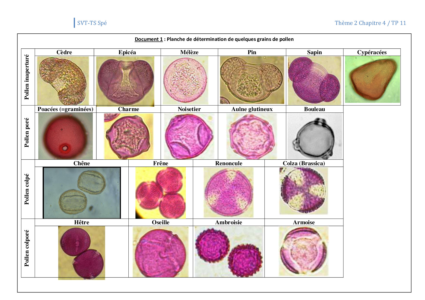 TP - Les pollens et lévolution climatique locale - AlloSchool